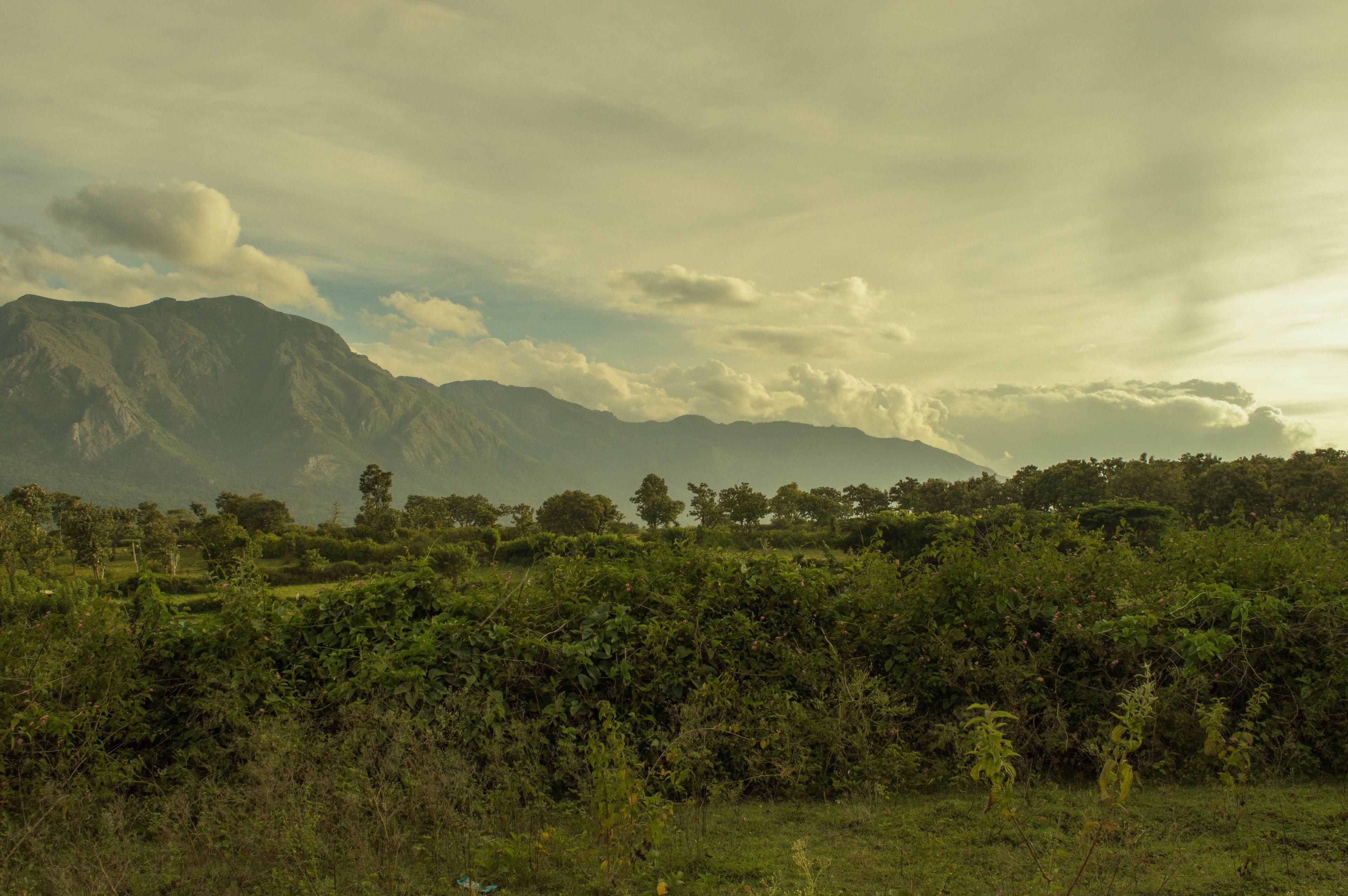 Tropical Mountain Wallpapers - Top Free Tropical Mountain Backgrounds ...