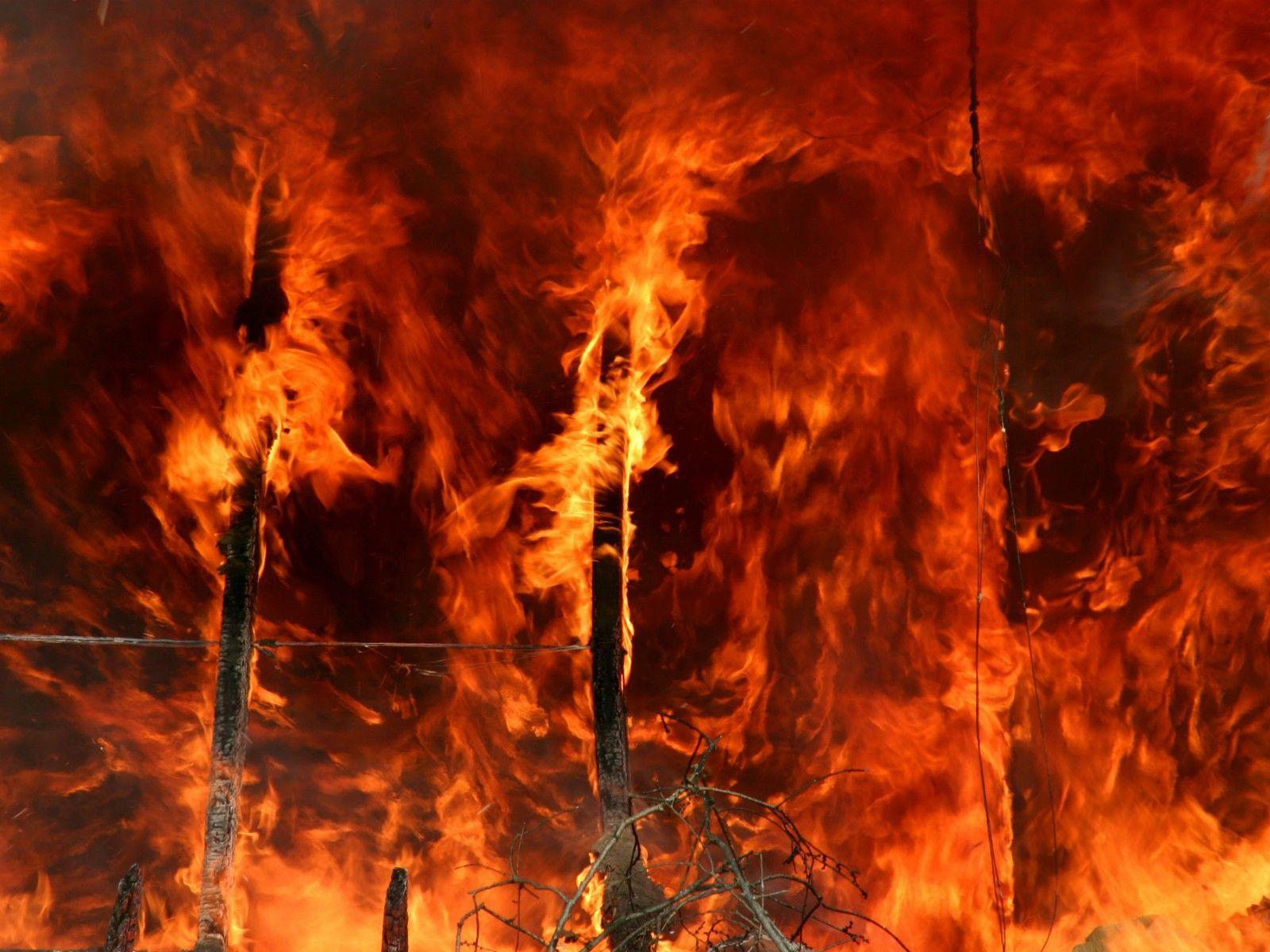 Wildfire Wallpapers - Top Free Wildfire Backgrounds - WallpaperAccess