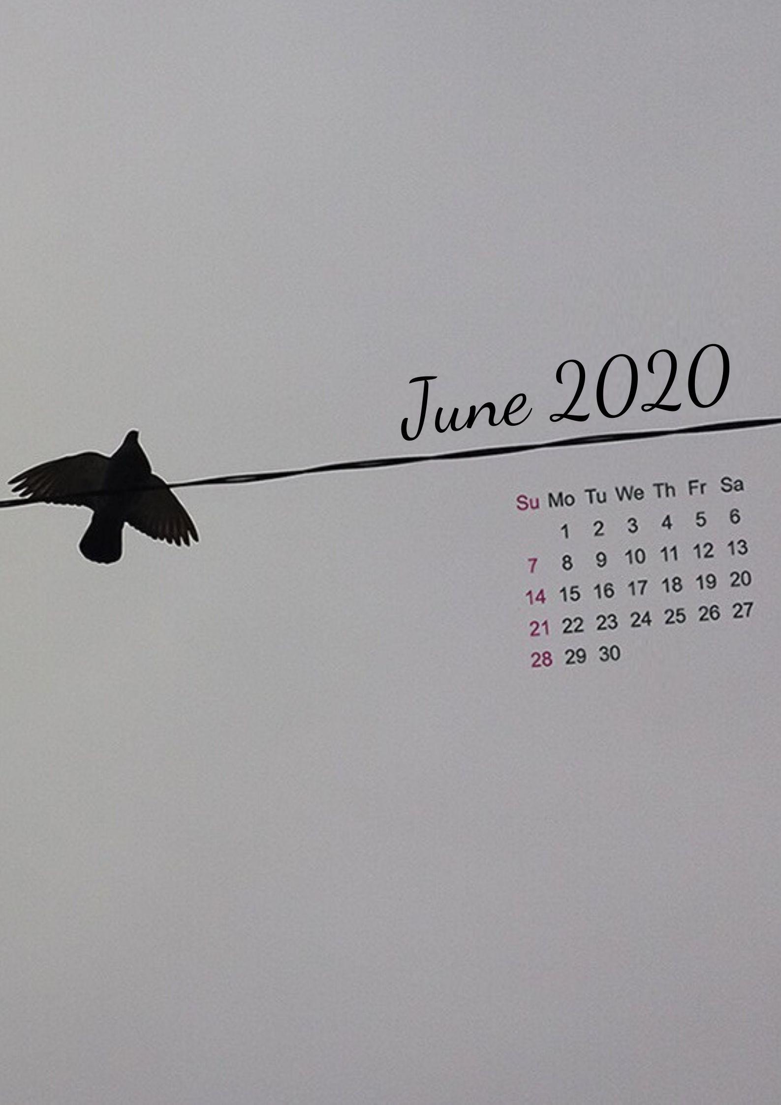 June 2020 Calendar Wallpapers - Top Free June 2020 Calendar Backgrounds ...