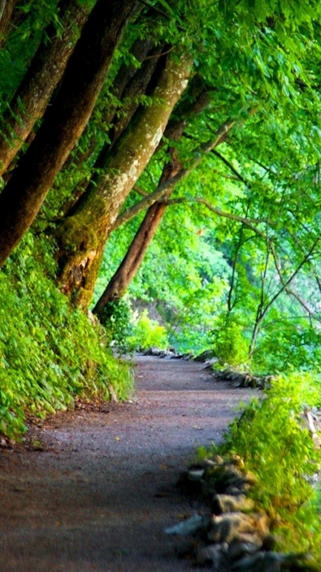 Pixel Nature Wallpapers - Top Free Pixel Nature Backgrounds ...