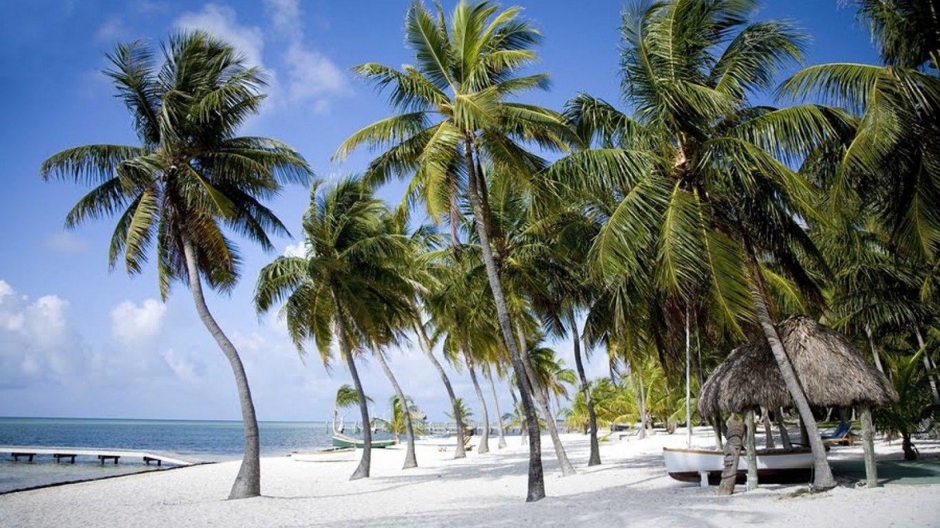 Florida Keys Wallpapers - Top Free Florida Keys Backgrounds ...