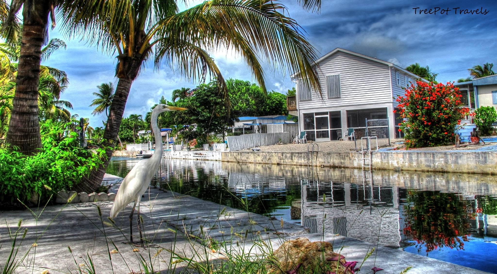 Florida Keys Wallpapers - Top Free Florida Keys Backgrounds ...