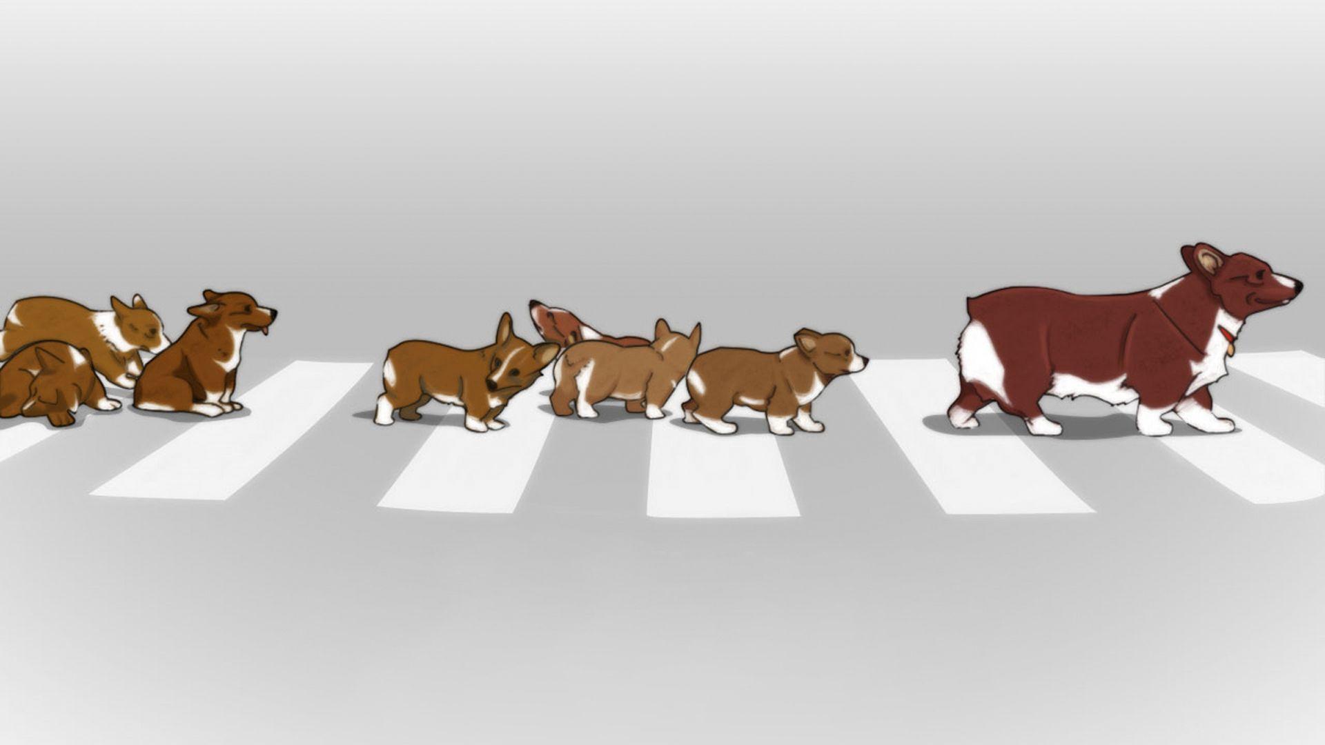 Cartoon Corgi Wallpapers - Top Free Cartoon Corgi Backgrounds ...