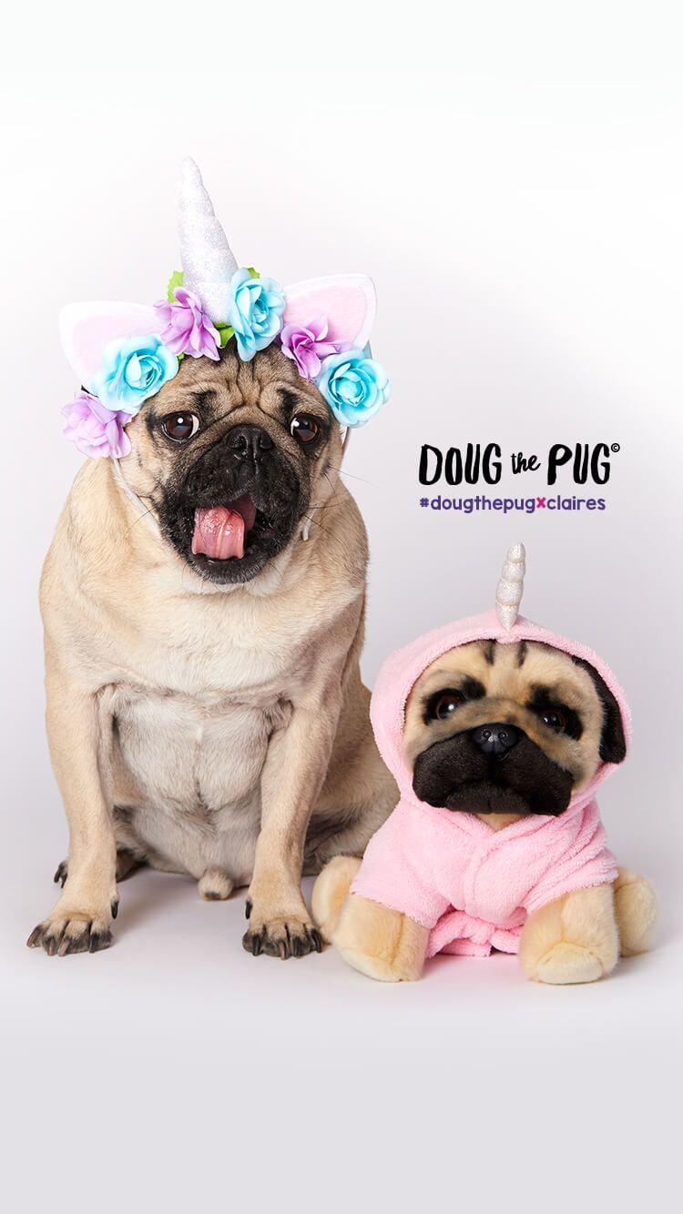 Doug the Pug Wallpapers - Top Free Doug the Pug Backgrounds ...