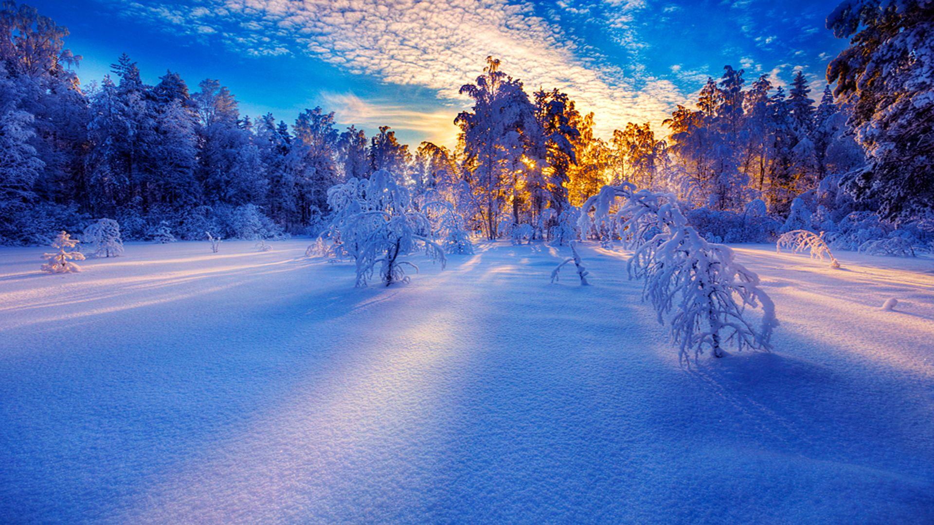 Snowy Day Wallpapers - Top Free Snowy Day Backgrounds - WallpaperAccess