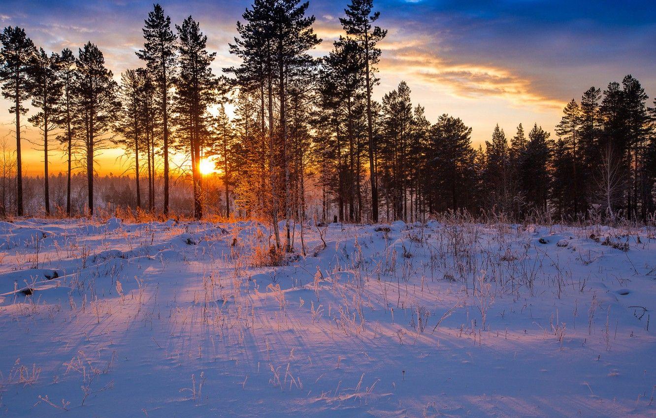 Snow Forest Sunrise Wallpapers - Top Free Snow Forest Sunrise ...