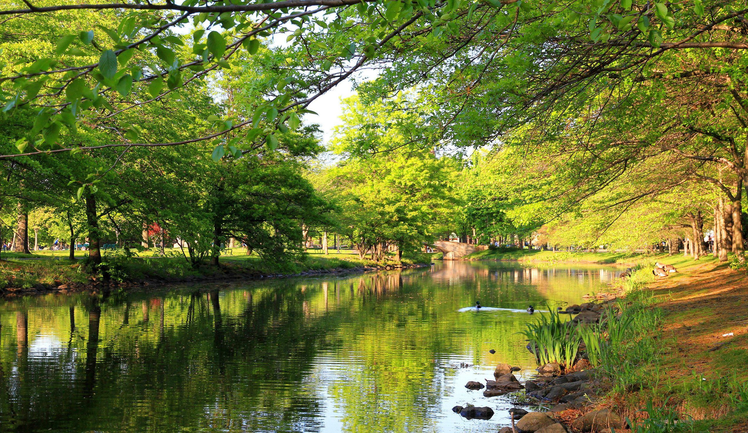 Summer River Wallpapers - Top Free Summer River Backgrounds ...