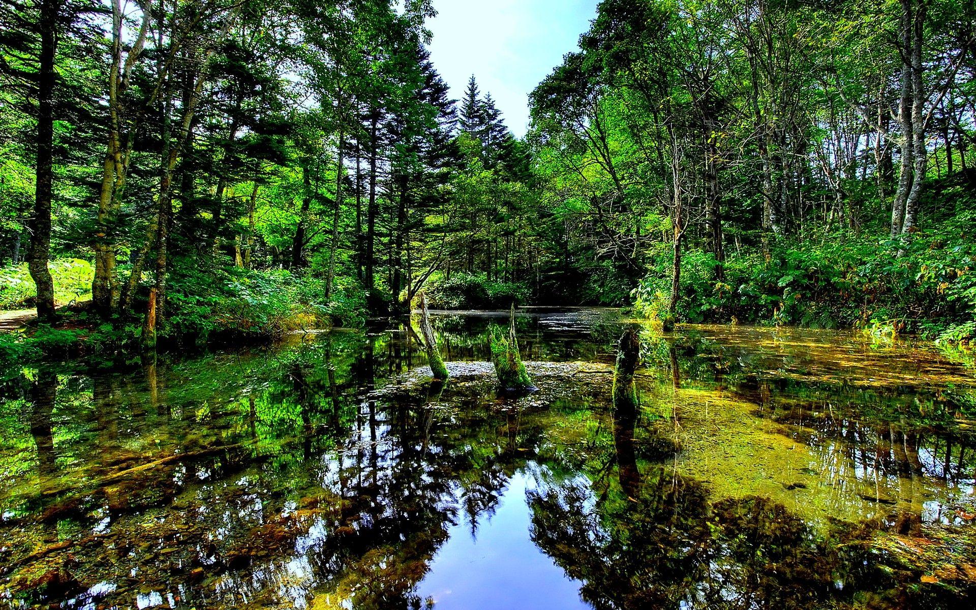 Summer River Wallpapers - Top Free Summer River Backgrounds ...