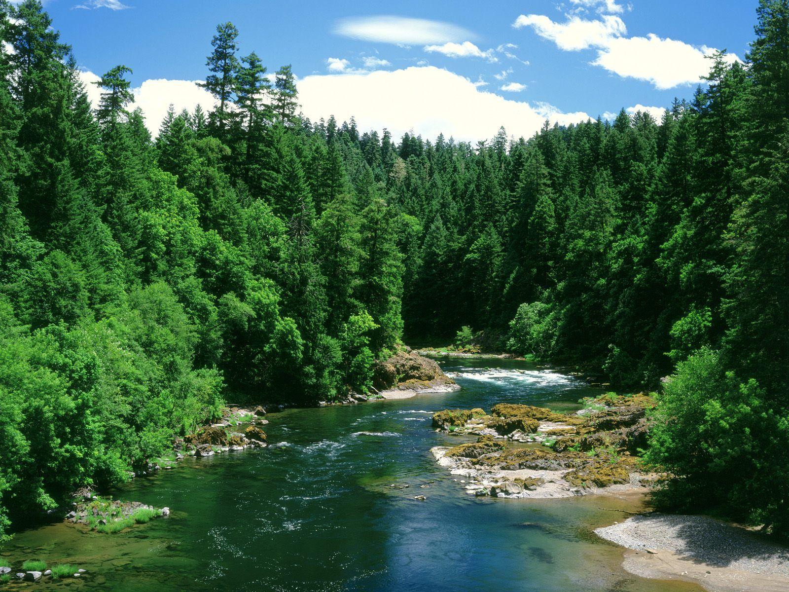 Summer River Wallpapers - Top Free Summer River Backgrounds ...