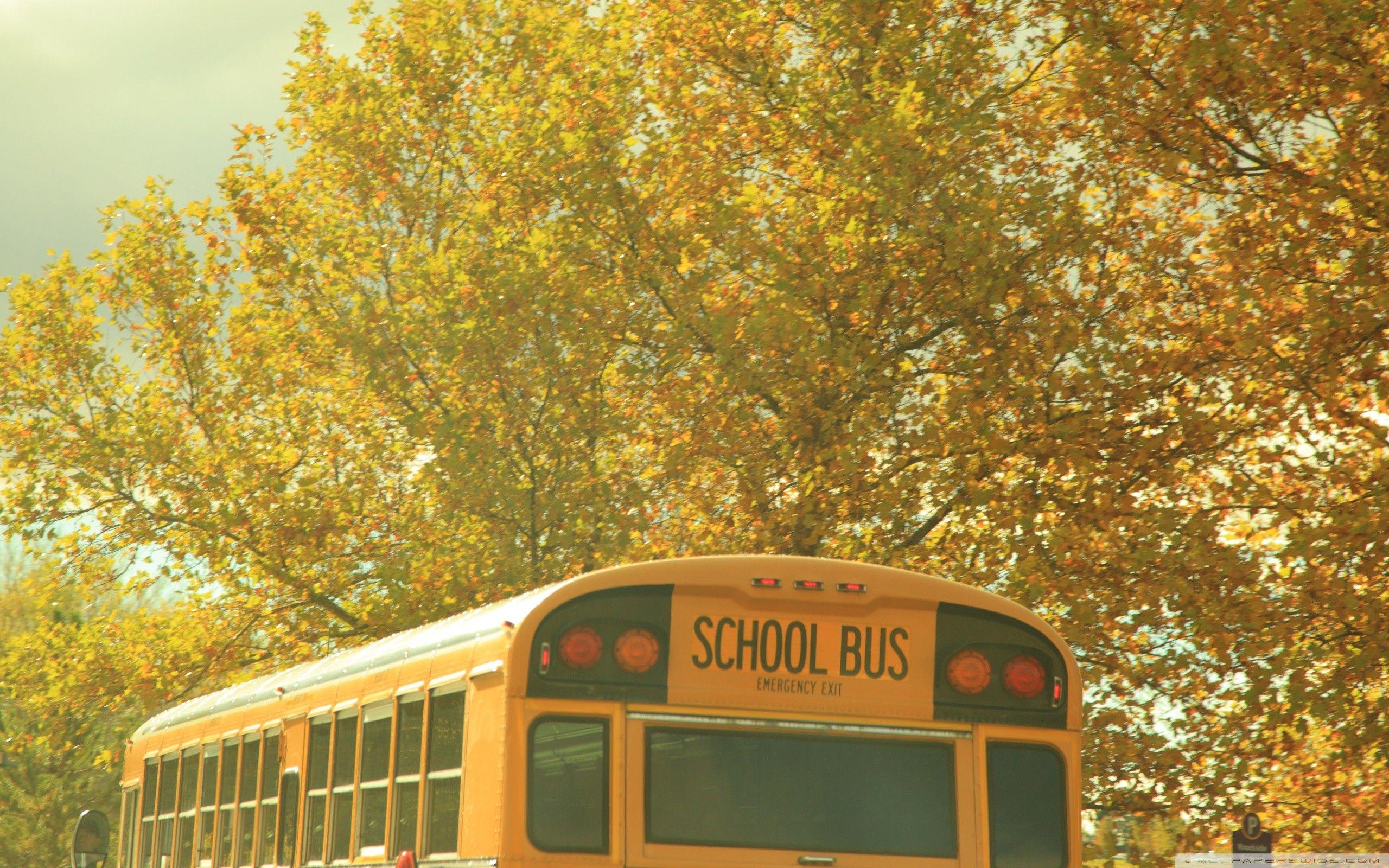 School Bus Wallpapers - Top Free School Bus Backgrounds - WallpaperAccess