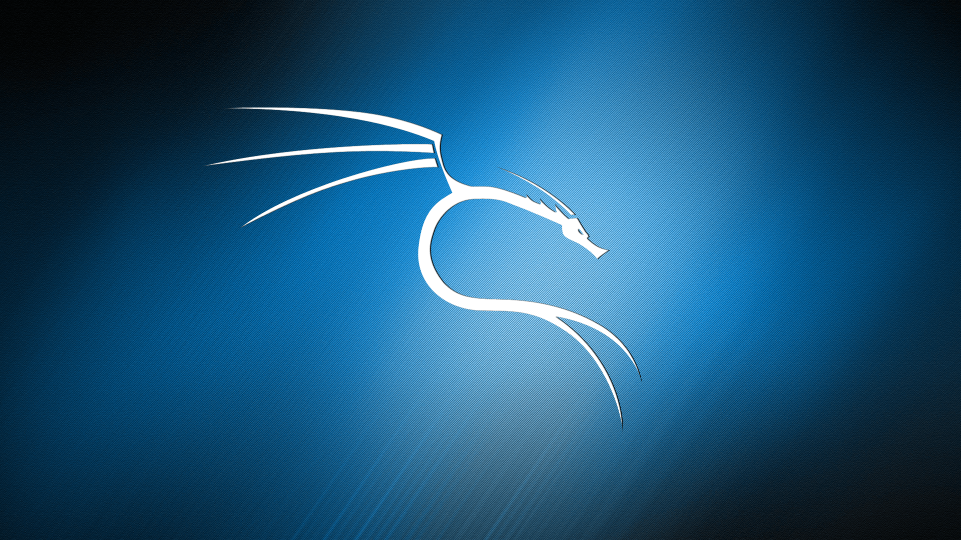 Kali Linux Os Download Kdashore