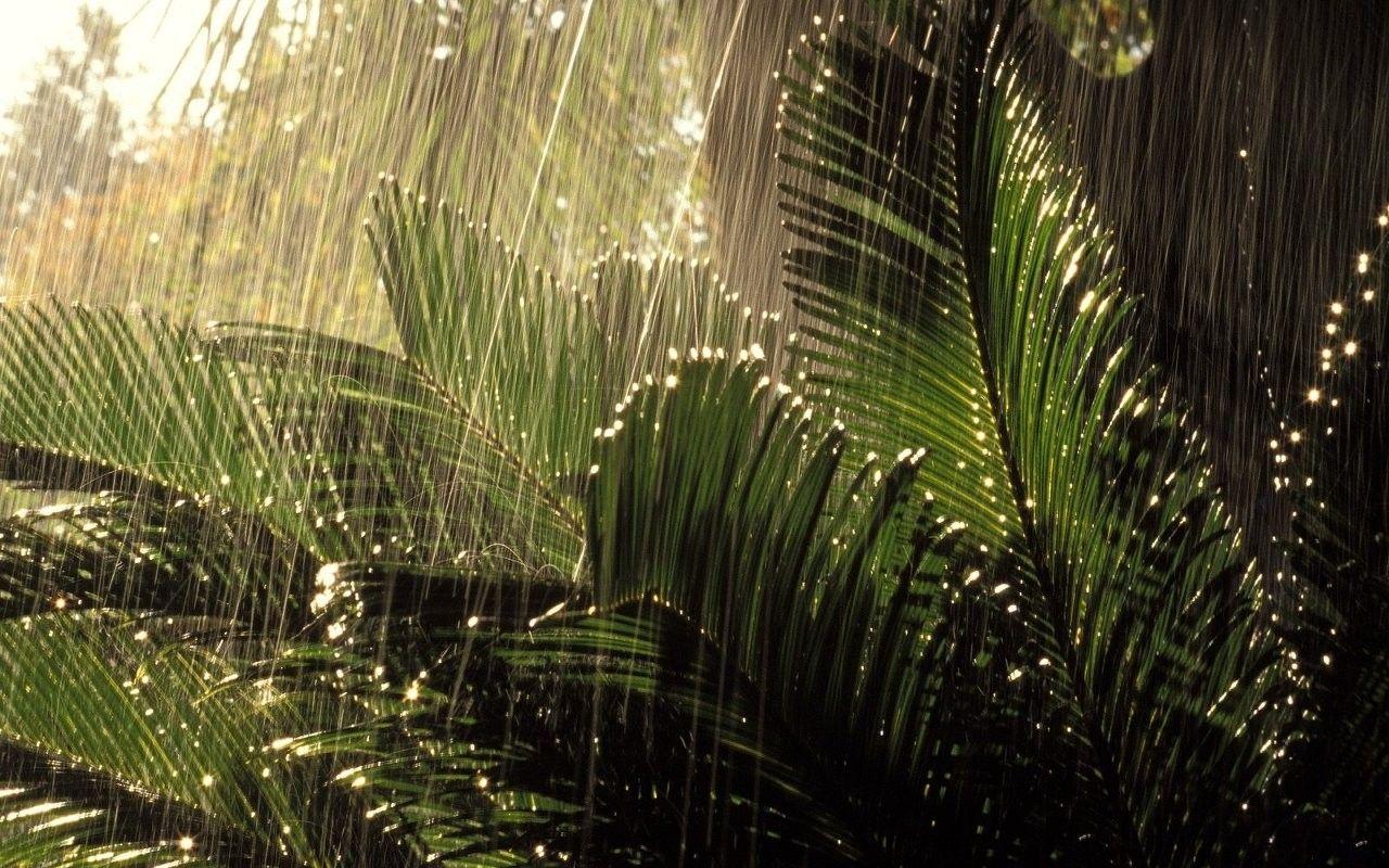 Monsoon Wallpapers - Top Free Monsoon Backgrounds - WallpaperAccess