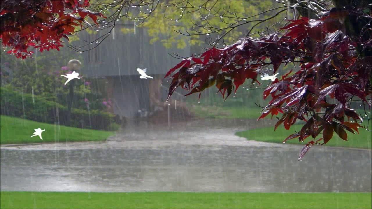 Fall Weather Wallpapers - Top Free Fall Weather Backgrounds ...