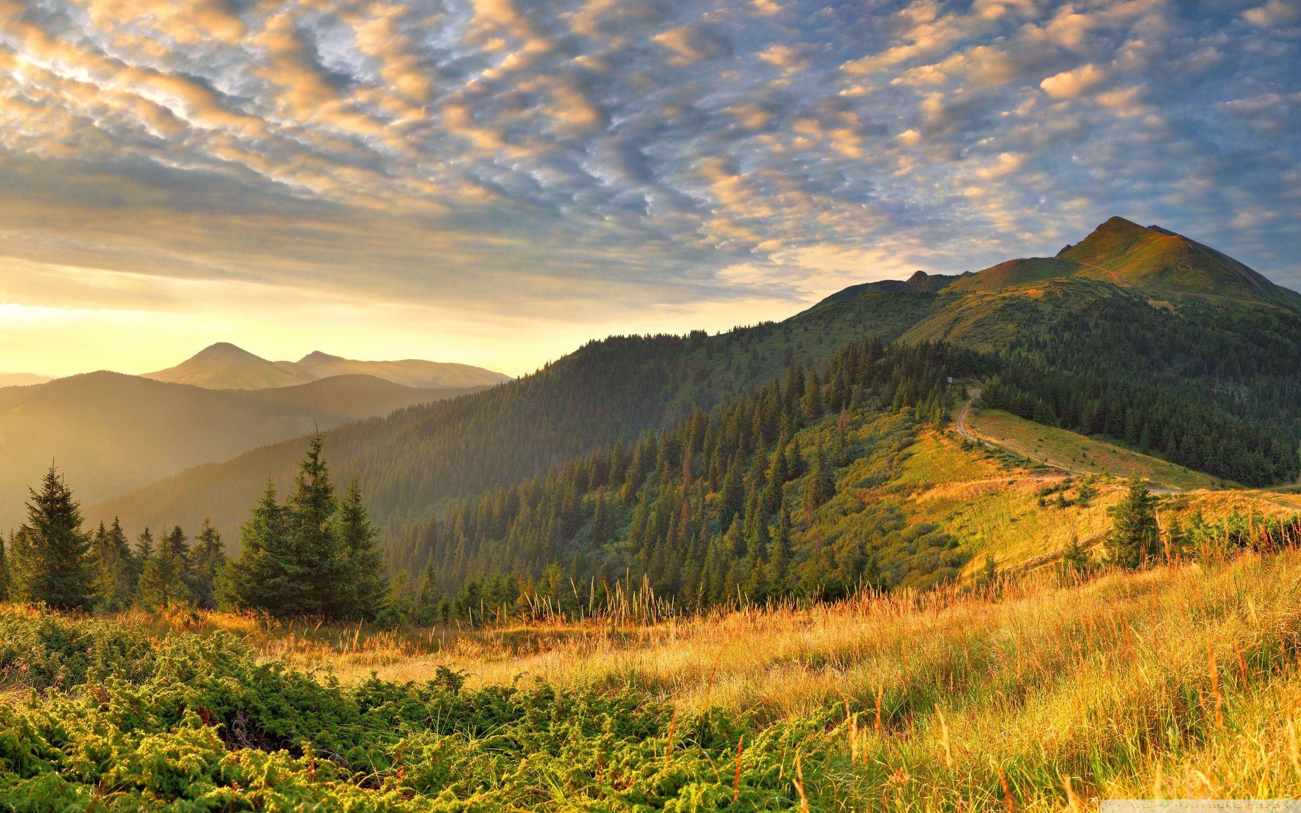 Nature 2k Wallpapers Top Free Nature 2k Backgrounds Wallpaperaccess Images