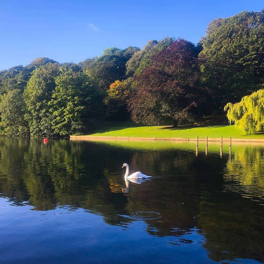 Nature 2k Wallpapers - Top Free Nature 2k Backgrounds - WallpaperAccess