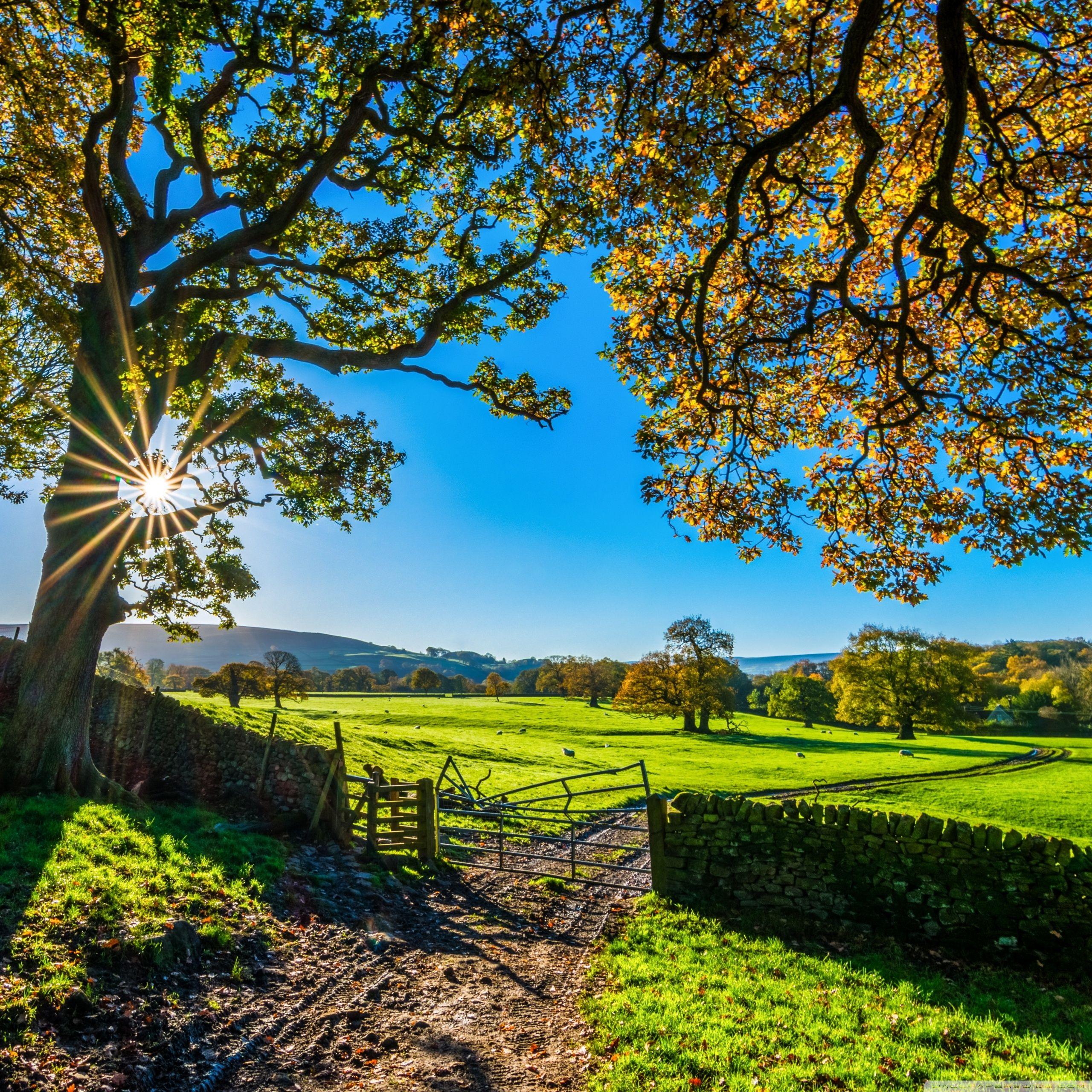 Nature 2k Wallpapers Top Free Nature 2k Backgrounds Wallpaperaccess Images