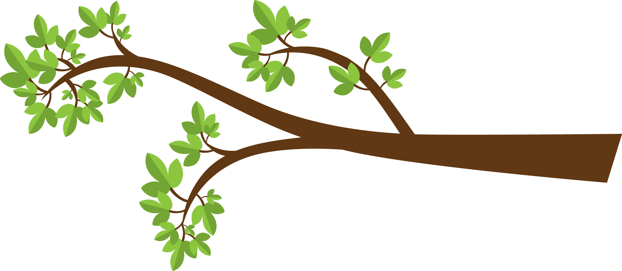 Tree Branch Wallpapers - Top Free Tree Branch Backgrounds - WallpaperAccess