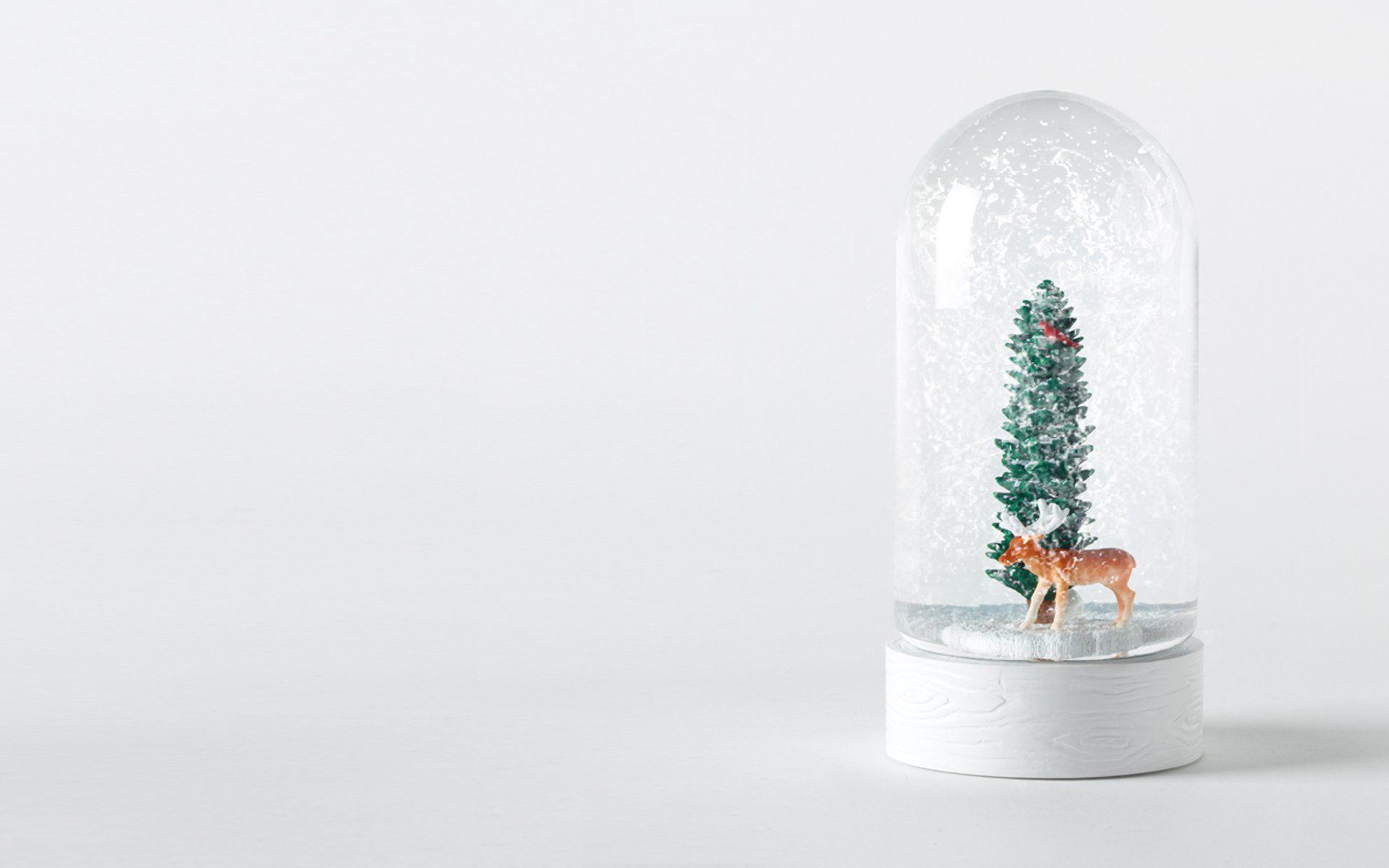 Snow Globe Wallpapers - Top Free Snow Globe Backgrounds - WallpaperAccess