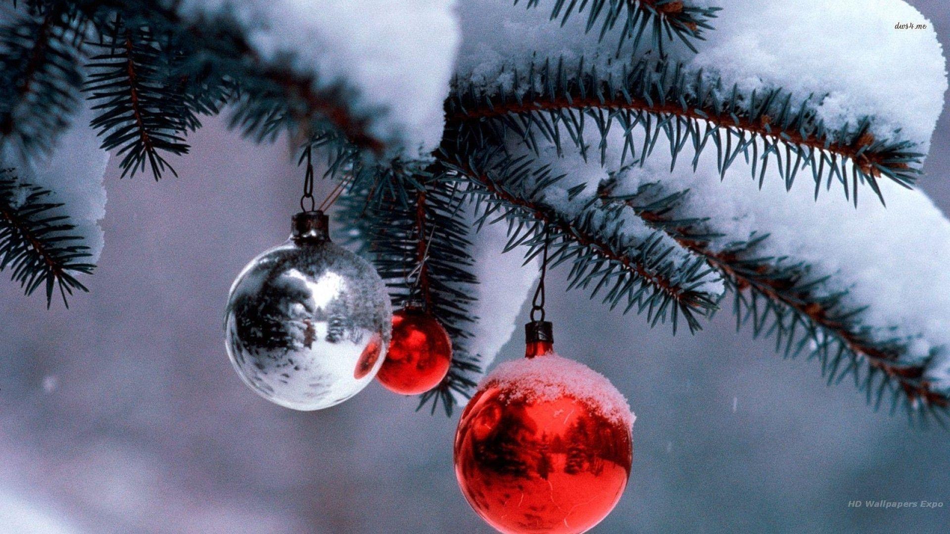 Snow Globe Wallpapers - Top Free Snow Globe Backgrounds - WallpaperAccess