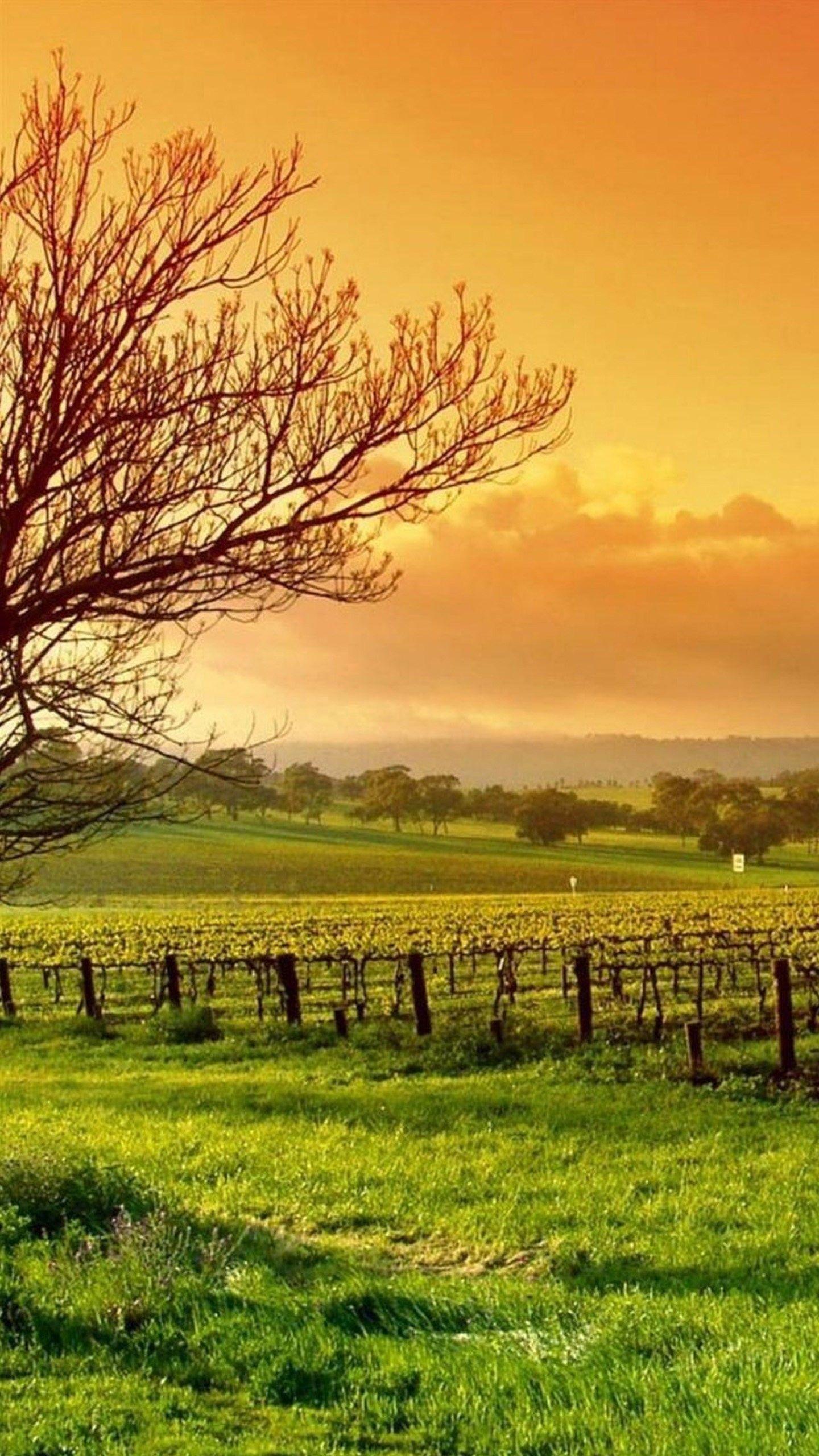 Pixel Nature Wallpapers - Top Free Pixel Nature Backgrounds ...