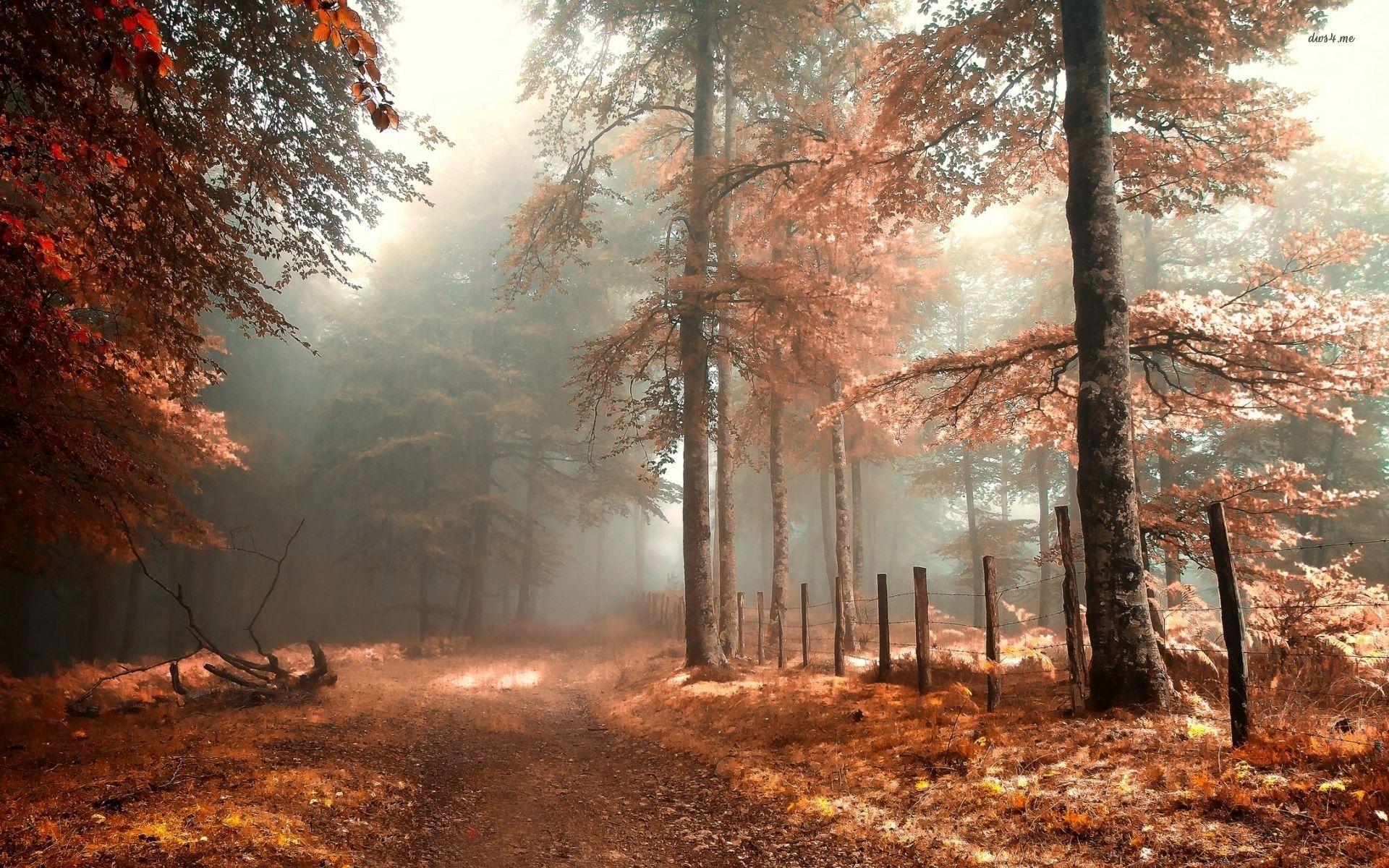 Rainy Autumn Wallpapers - Top Free Rainy Autumn Backgrounds ...