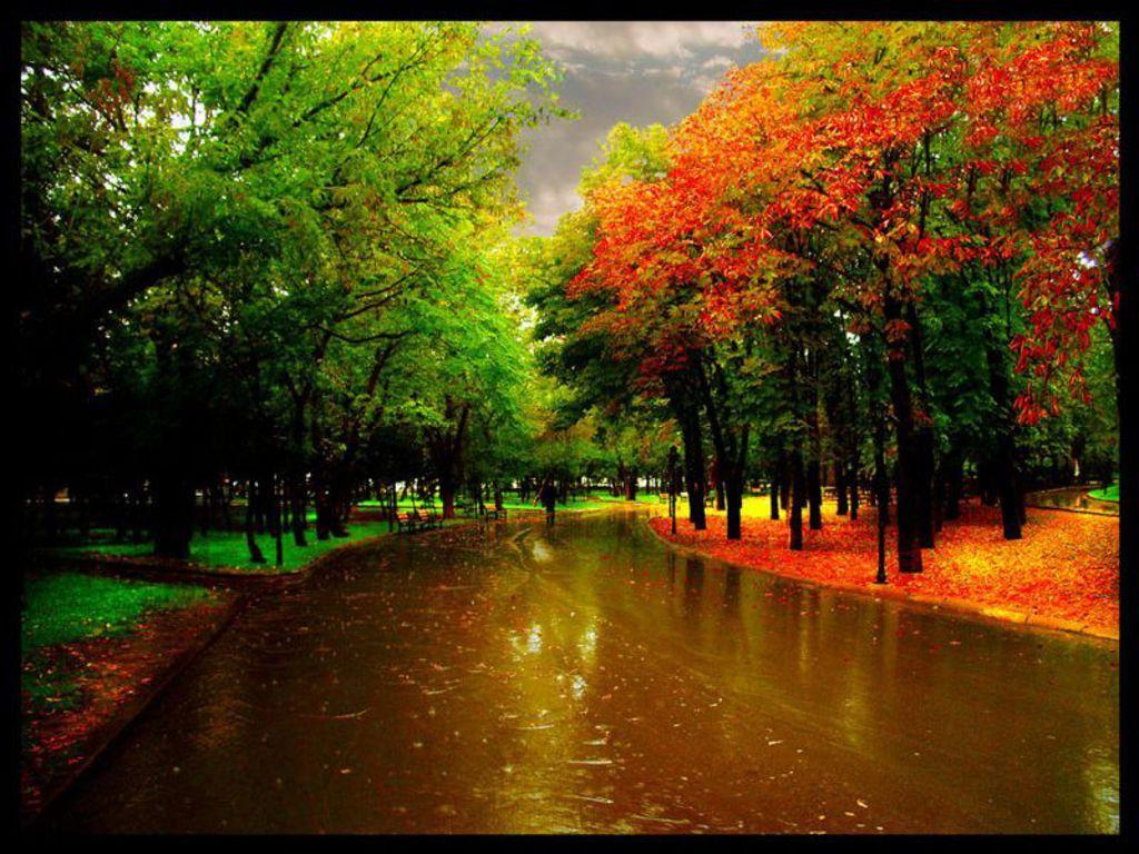 Rainy Autumn Wallpapers - Top Free Rainy Autumn Backgrounds ...