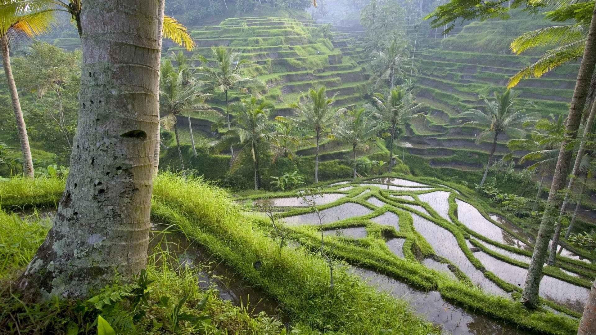 Bali 4k Wallpapers - Top Free Bali 4k Backgrounds - WallpaperAccess