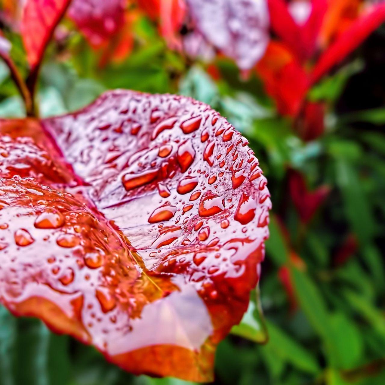 5K iPad Wallpapers - Top Free 5K iPad Backgrounds - WallpaperAccess