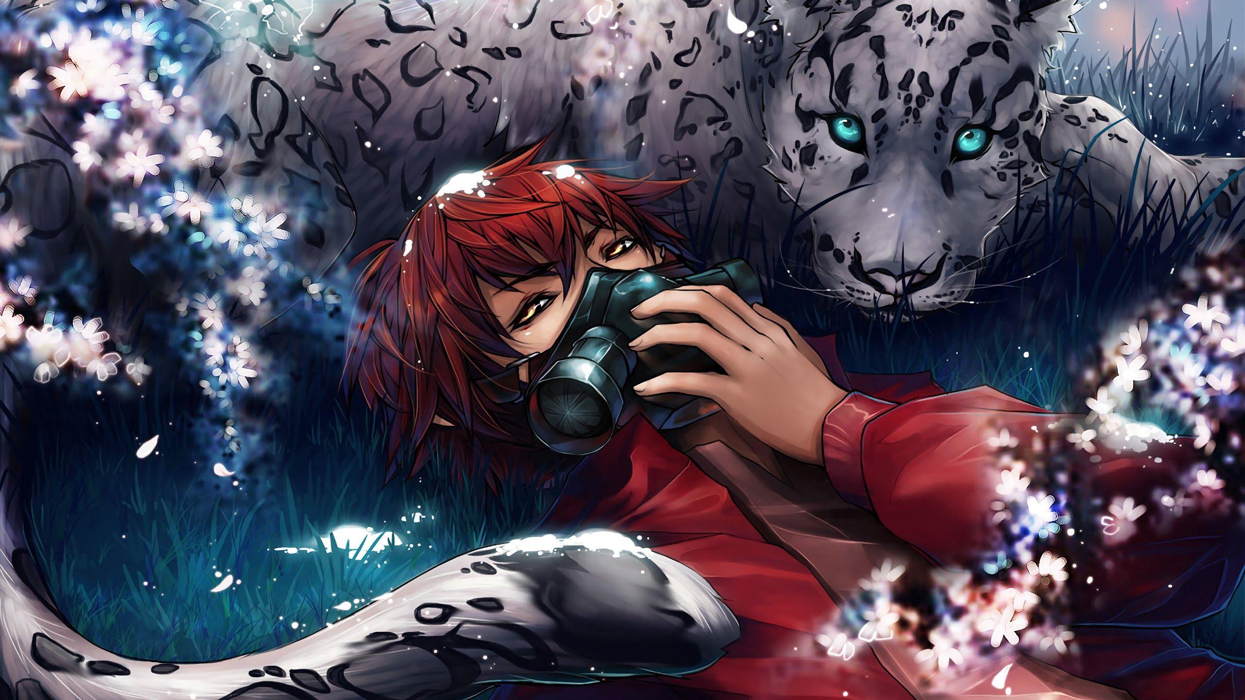Anime Tiger Wallpapers Top Free Anime Tiger Backgrounds Wallpaperaccess