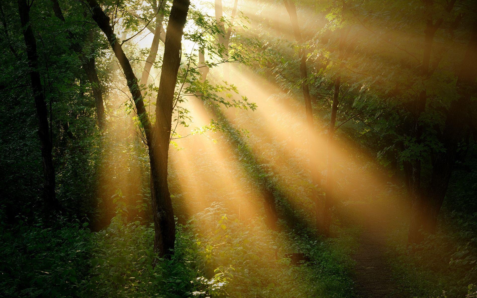 Sunray Wallpapers - Top Free Sunray Backgrounds - WallpaperAccess