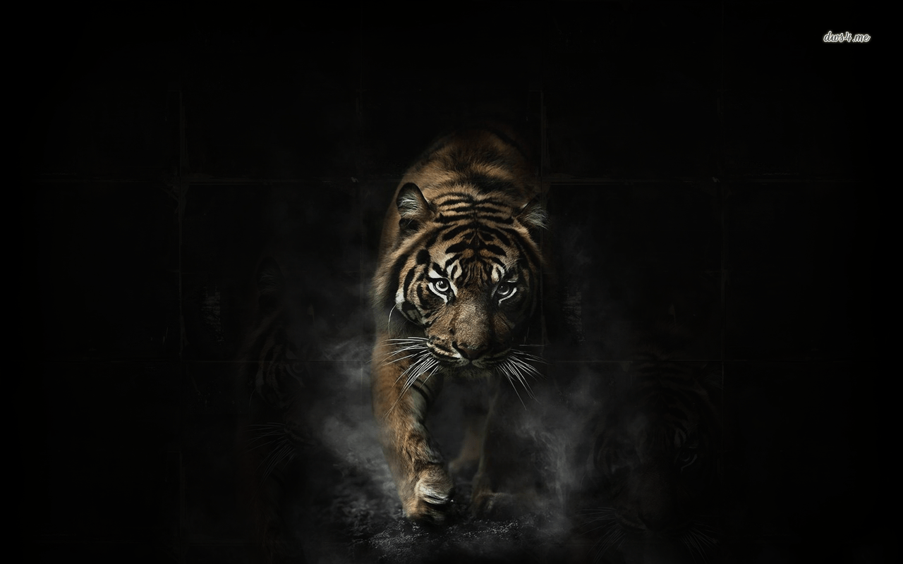 Angry Dark Wallpapers - Top Free Angry Dark Backgrounds - WallpaperAccess