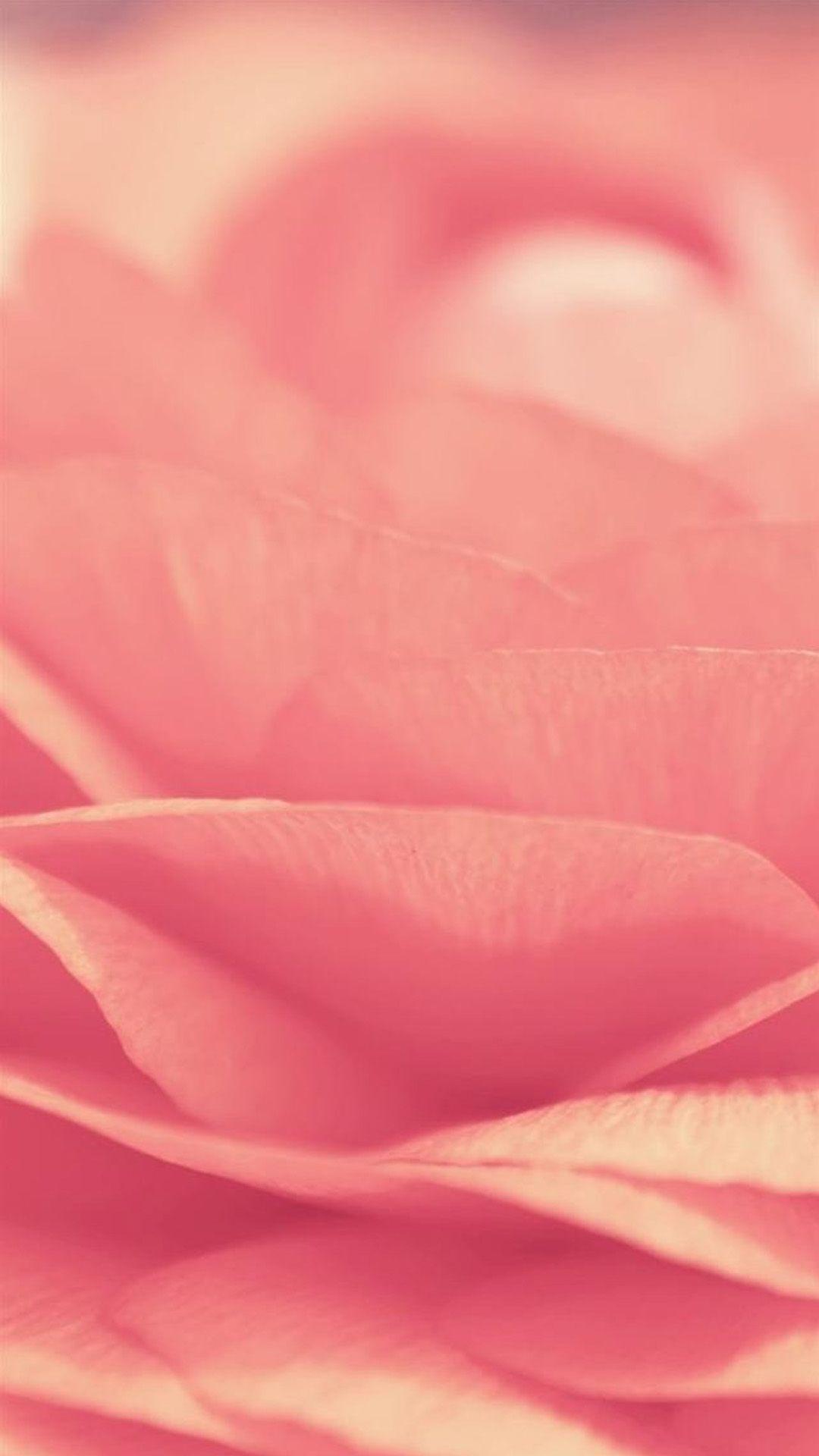 Pink Abstract Wallpapers - Top Free Pink Abstract Backgrounds ...