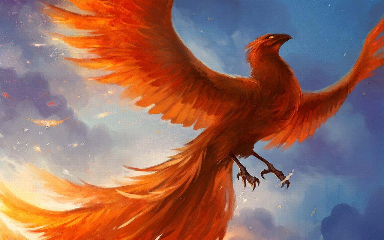 Phoenix Desktop Wallpapers - Top Free Phoenix Desktop Backgrounds ...