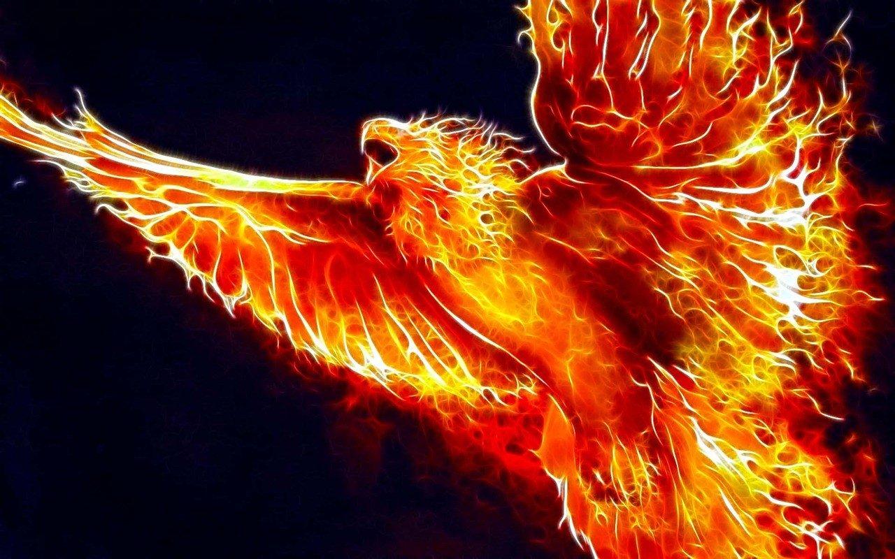 Phoenix 1280X800 Wallpapers - Top Free Phoenix 1280X800 Backgrounds ...