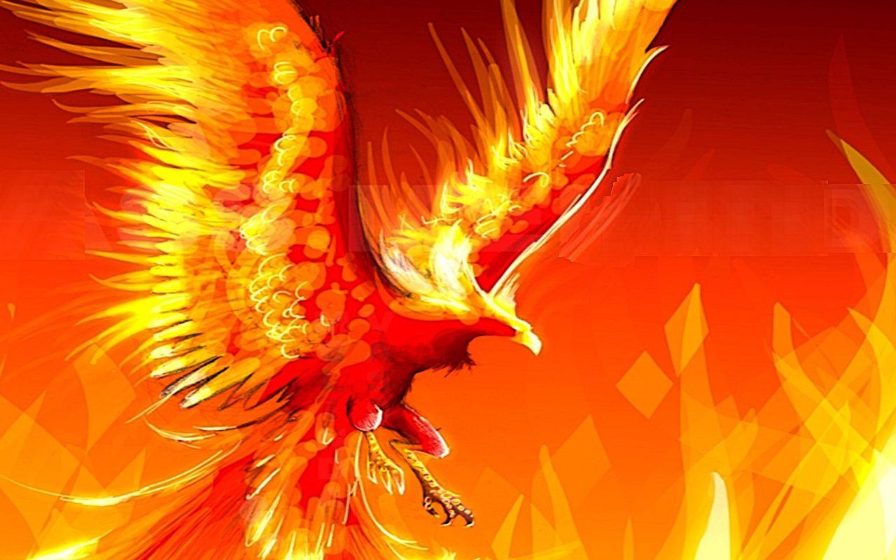 Phoenix Desktop Wallpapers - Top Free Phoenix Desktop Backgrounds ...