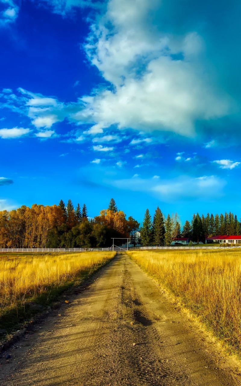 800 X 1280 HD Wallpapers - Top Free 800 X 1280 HD Backgrounds ...