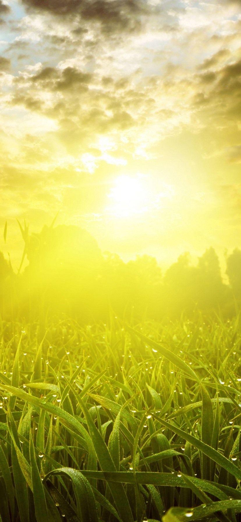 Sunshine iPhone Wallpapers - Top Free Sunshine iPhone Backgrounds ...