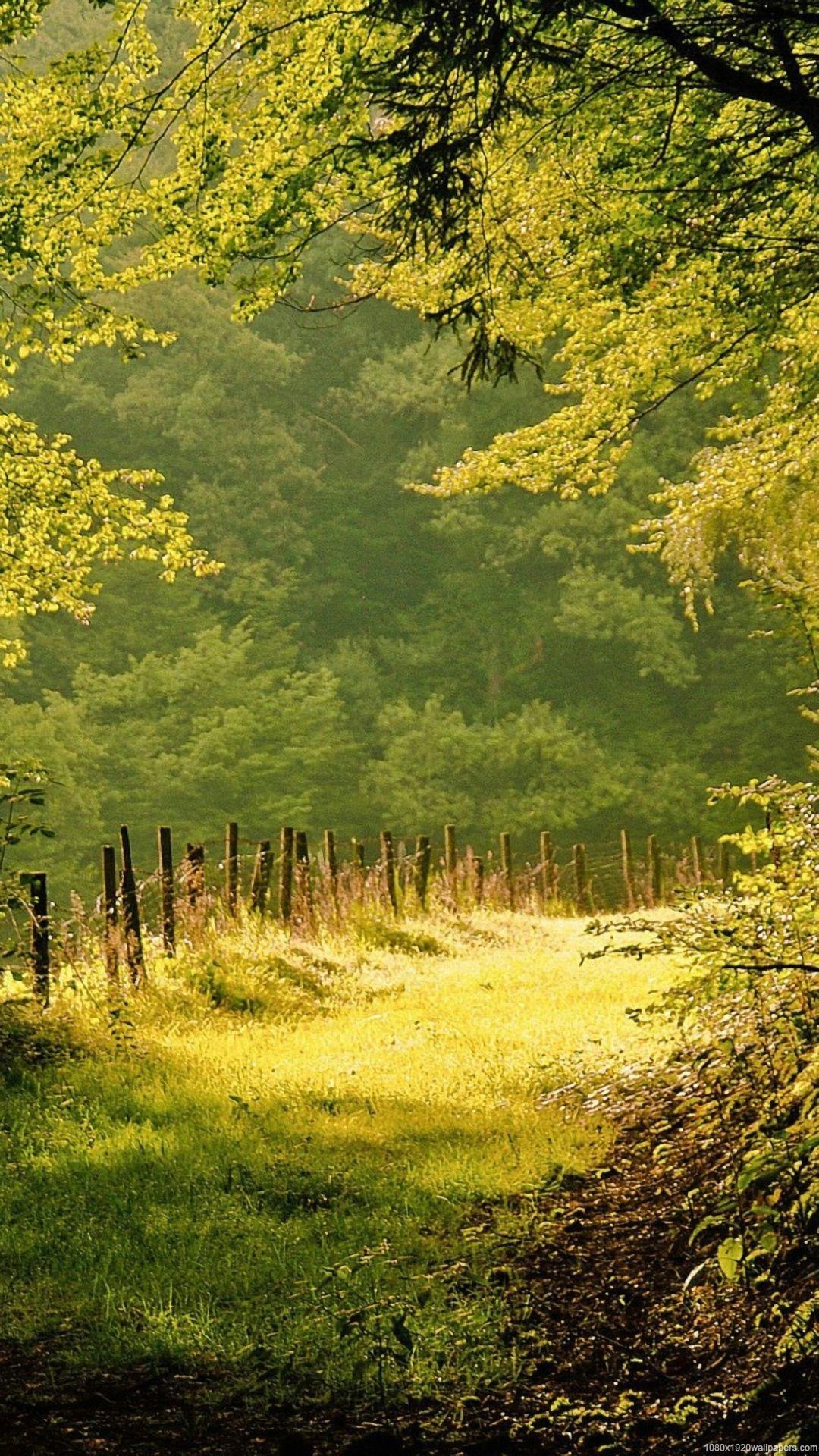 Sunshine iPhone Wallpapers - Top Free Sunshine iPhone Backgrounds ...