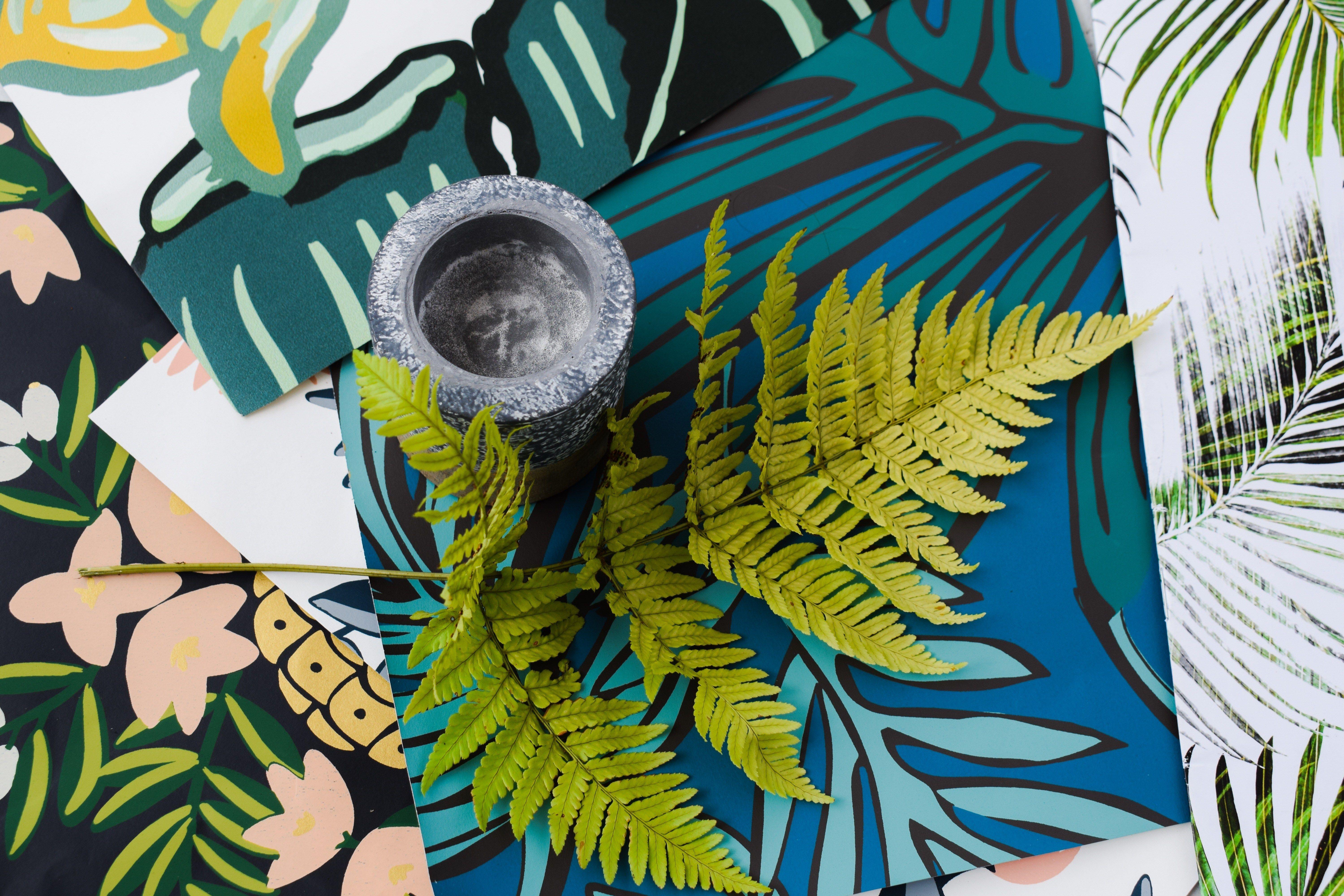 Tropical Print Wallpapers - Top Free Tropical Print Backgrounds ...