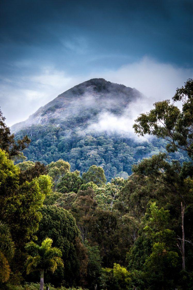 Tropical Rainforest Wallpapers - Top Free Tropical Rainforest ...