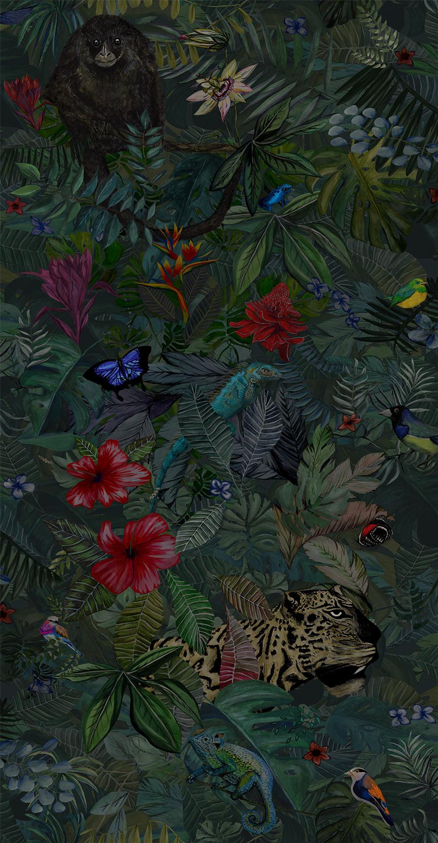 Tropical Rainforest Wallpapers - Top Free Tropical Rainforest ...