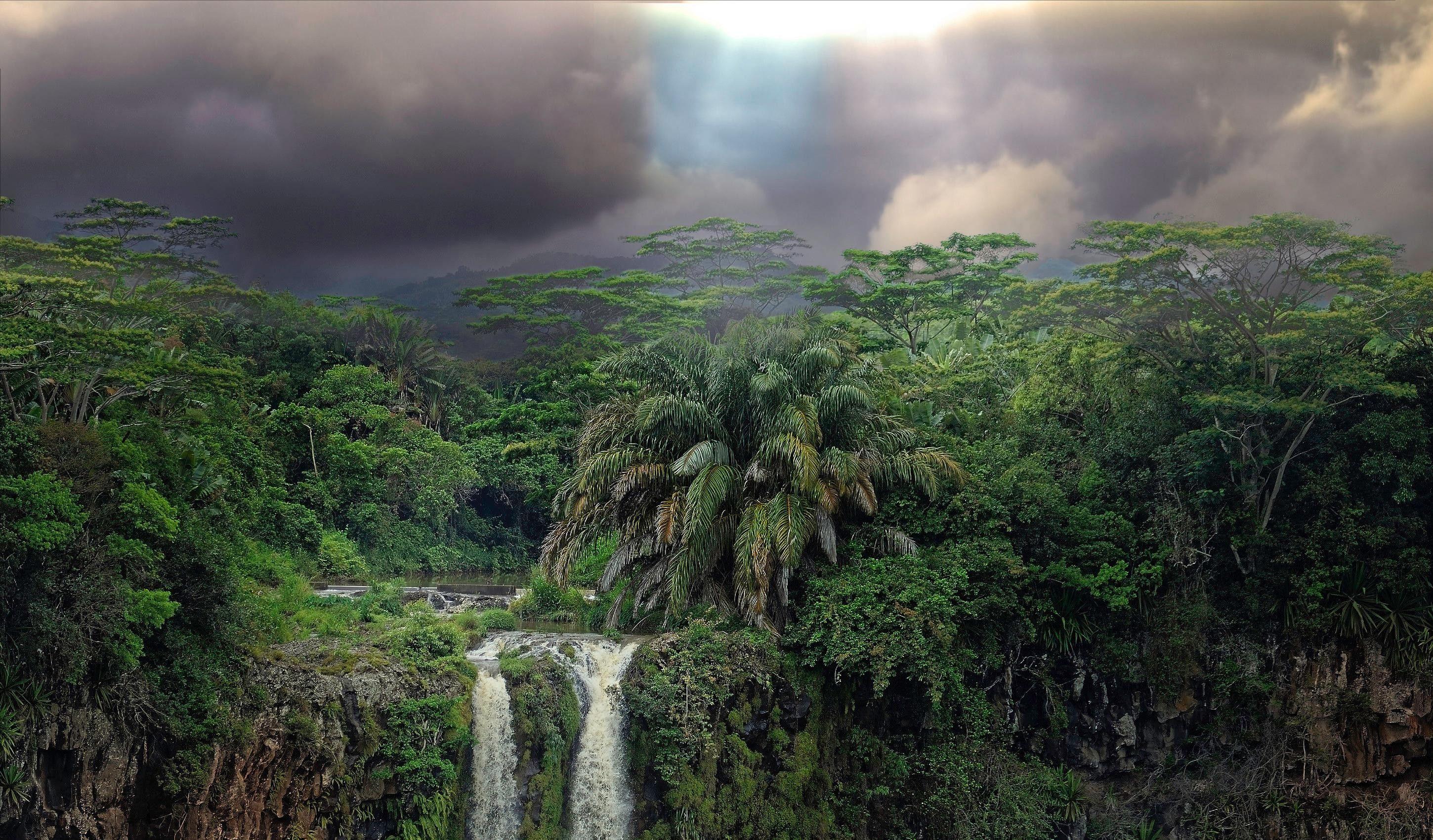 Tropical Rainforest Wallpapers - Top Free Tropical Rainforest ...