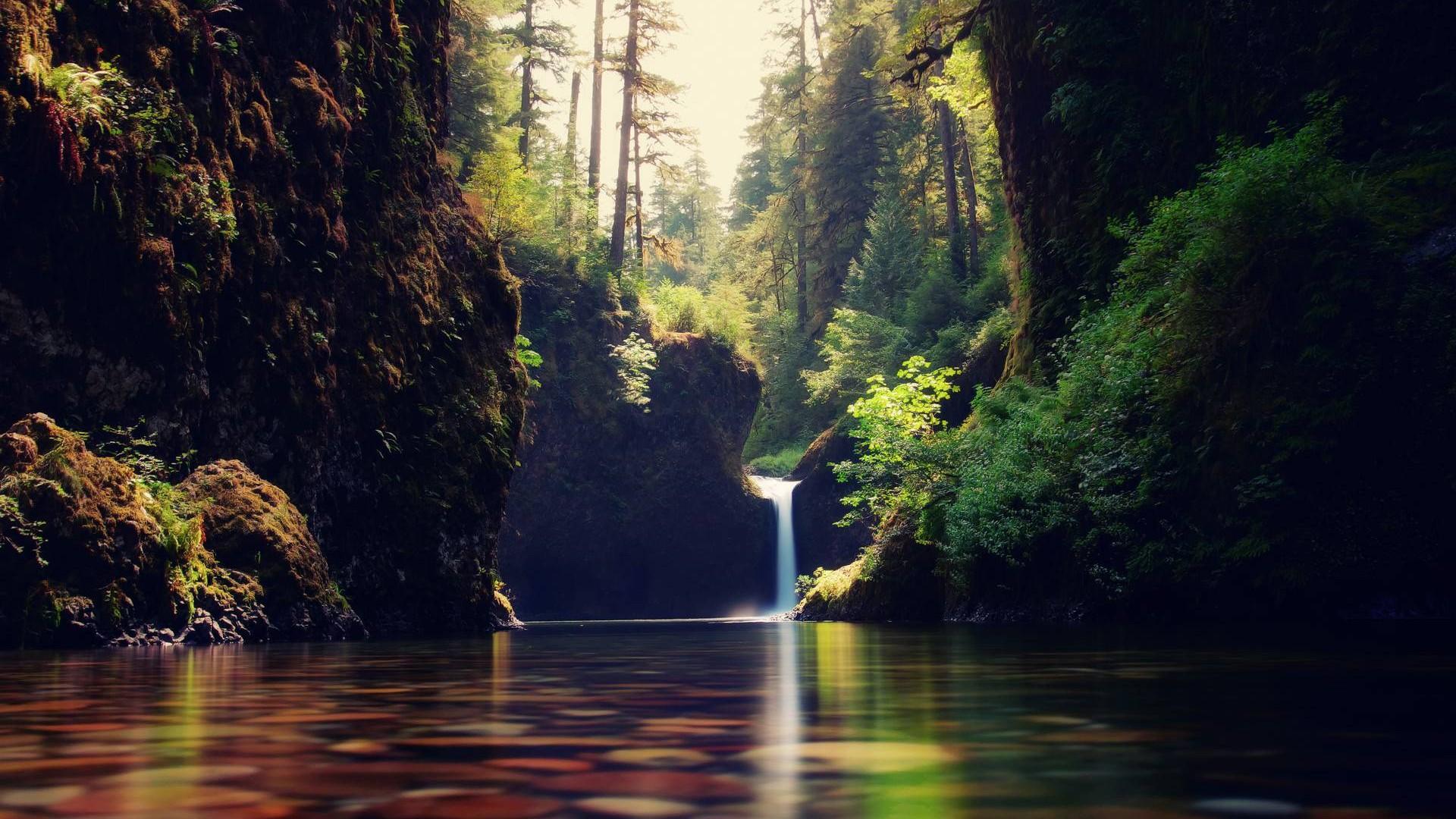 Tropical Rainforest Wallpapers - Top Free Tropical Rainforest ...