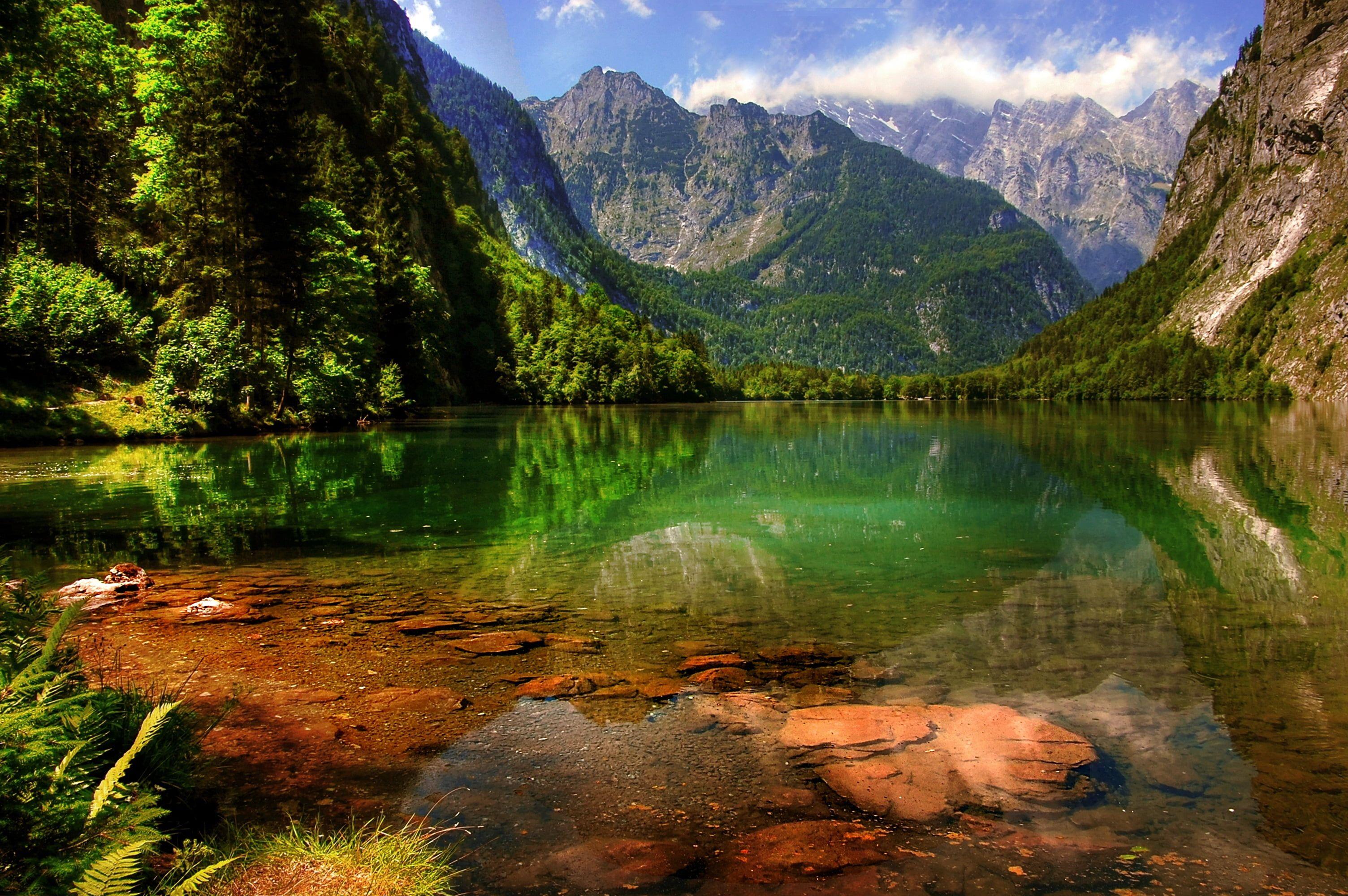 Tropical Rainforest Wallpapers - Top Free Tropical Rainforest ...