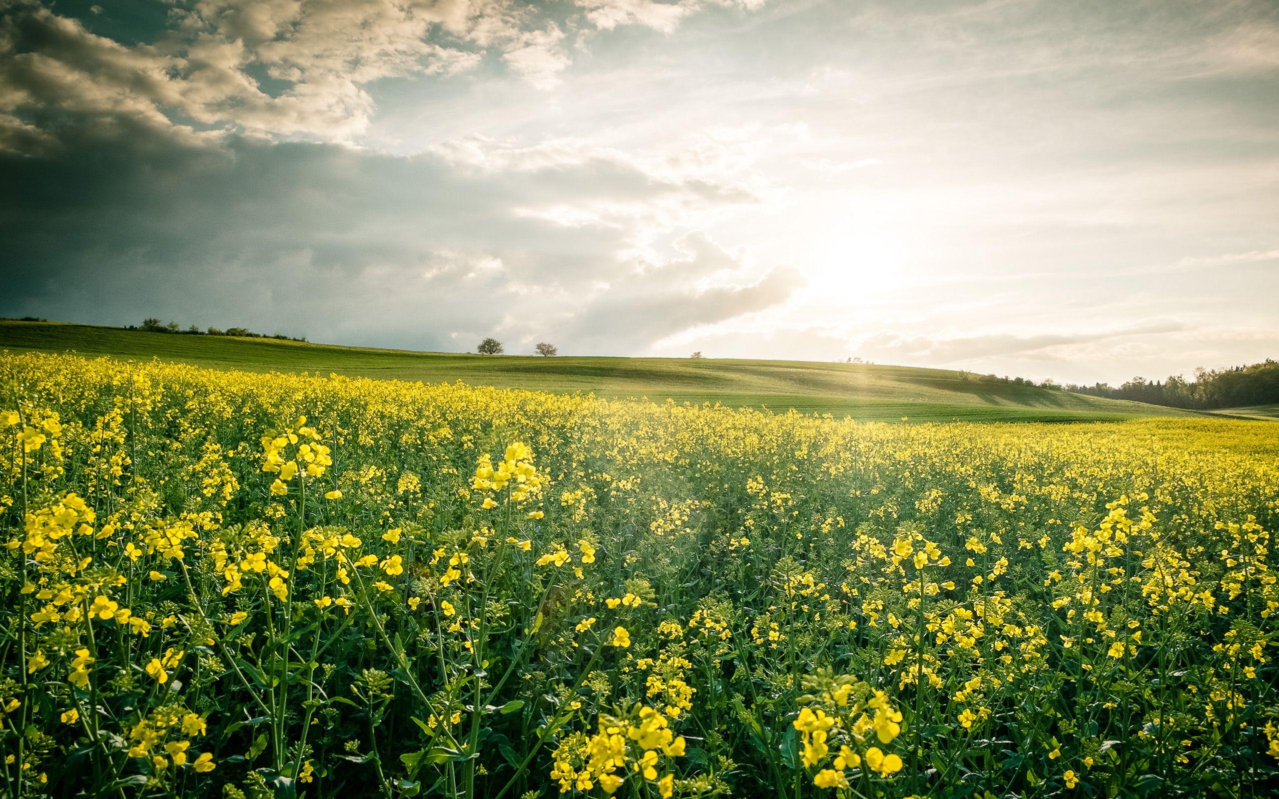 Bright Landscape Wallpapers - Top Free Bright Landscape Backgrounds ...