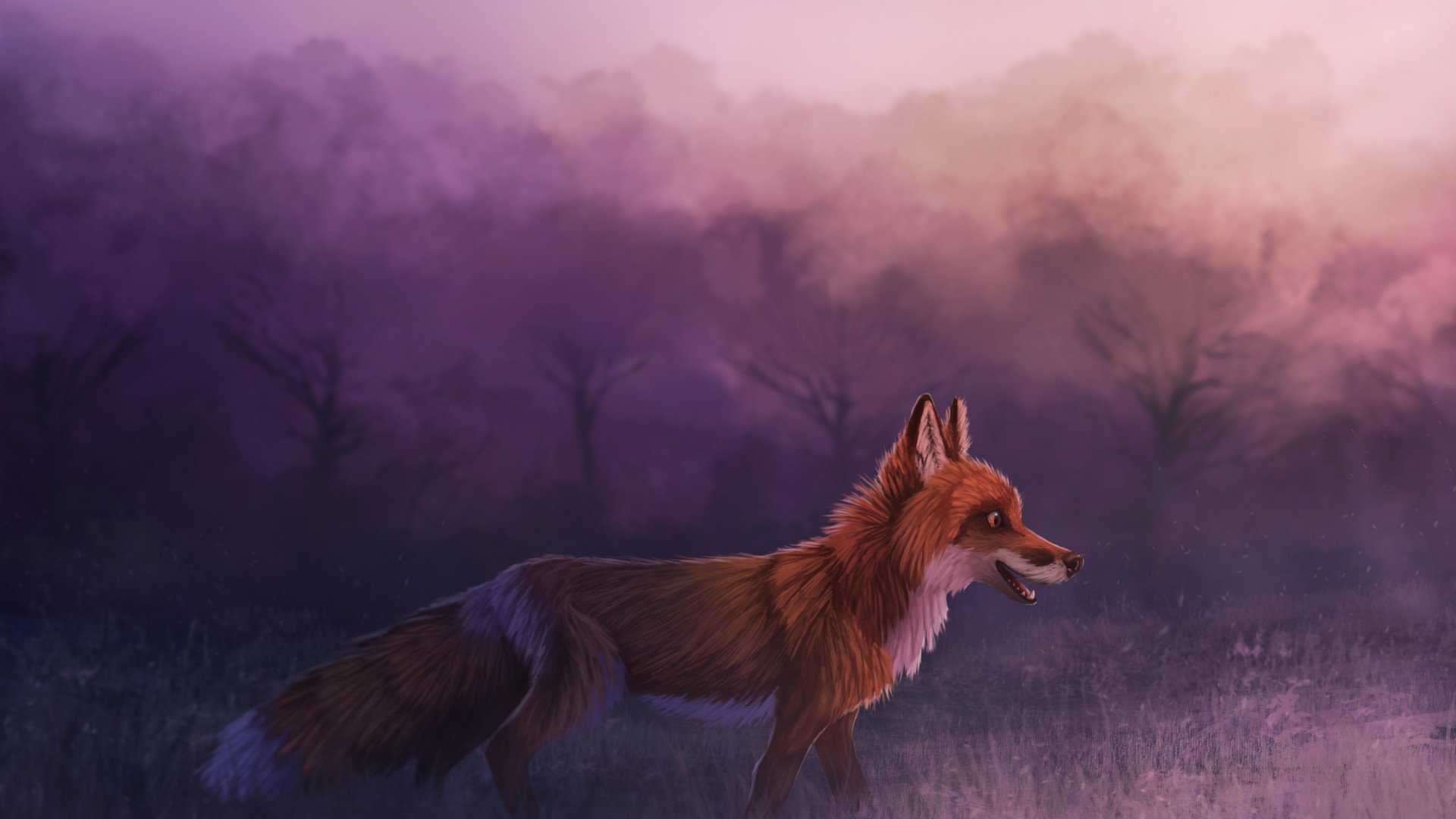 Fox 4K Wallpapers - Top Free Fox 4K Backgrounds - WallpaperAccess