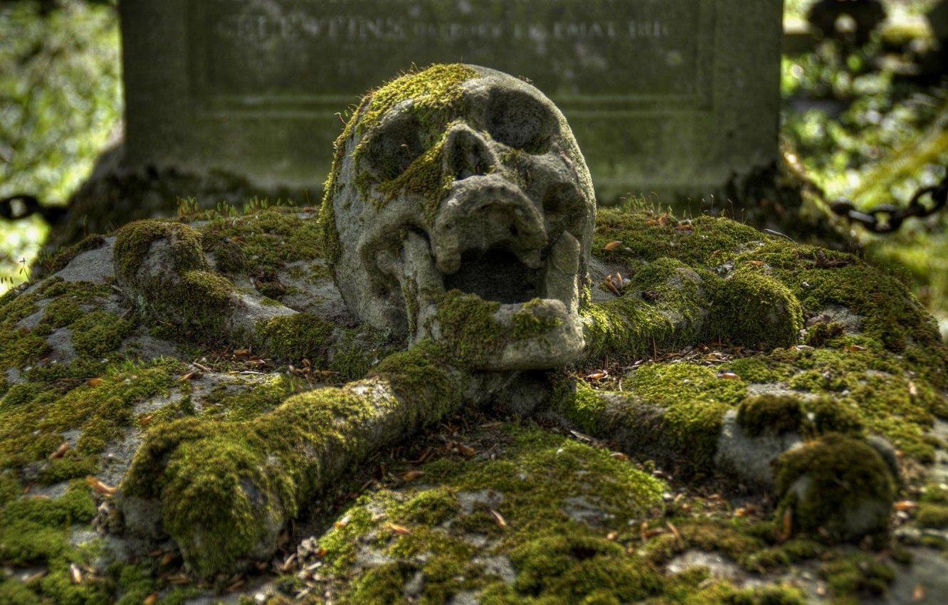 Grave Wallpapers - Top Free Grave Backgrounds - WallpaperAccess