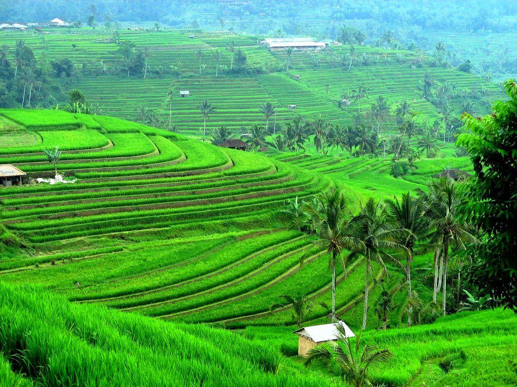 Indonesia Nature Wallpapers - Top Free Indonesia Nature Backgrounds ...