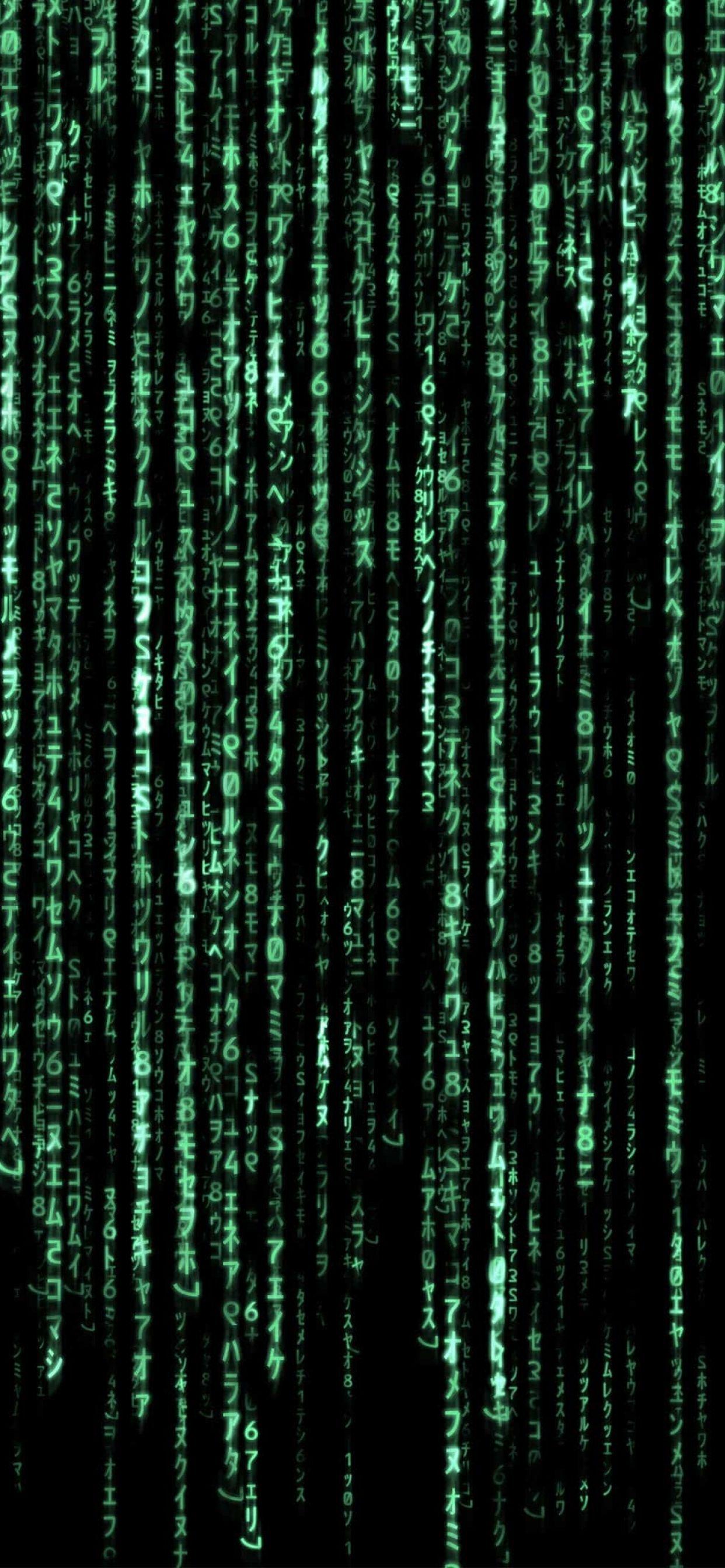 Matrix HD Wallpapers - Top Free Matrix HD Backgrounds - WallpaperAccess