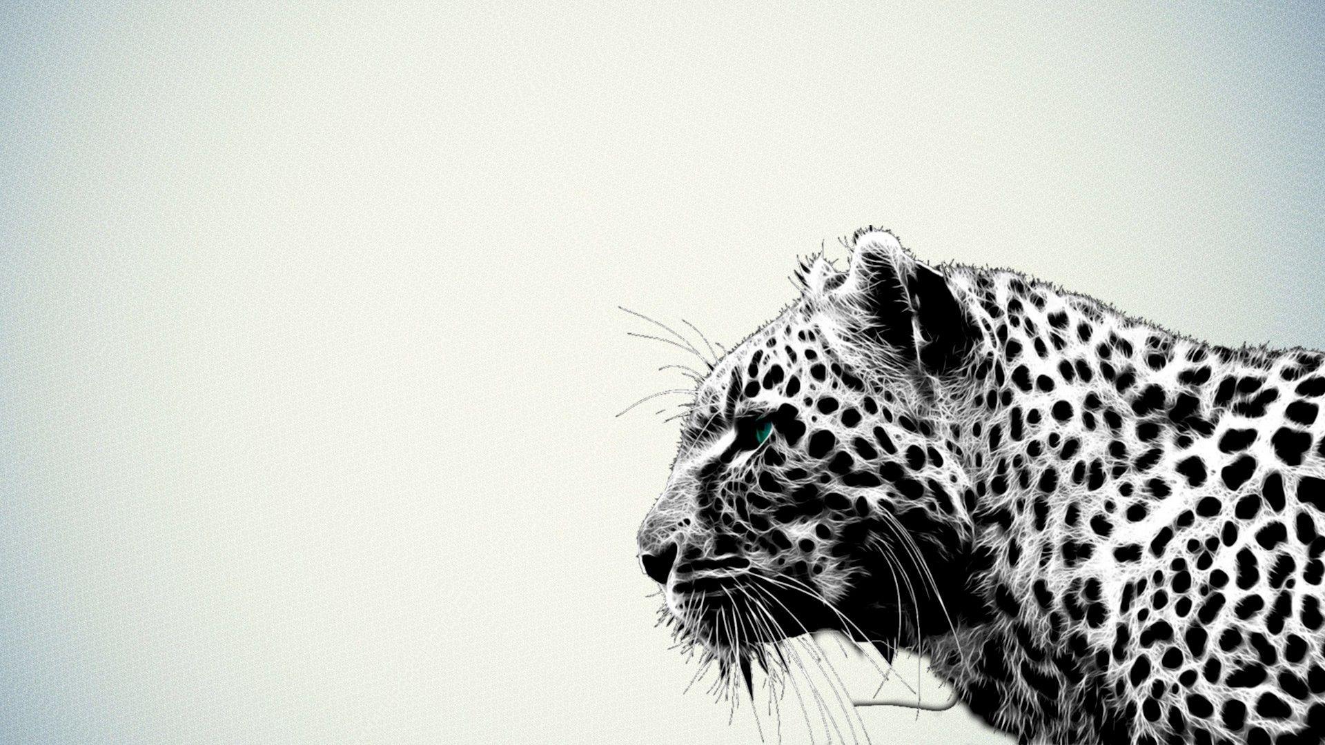 Cheetah Desktop Wallpapers - Top Free Cheetah Desktop Backgrounds ...